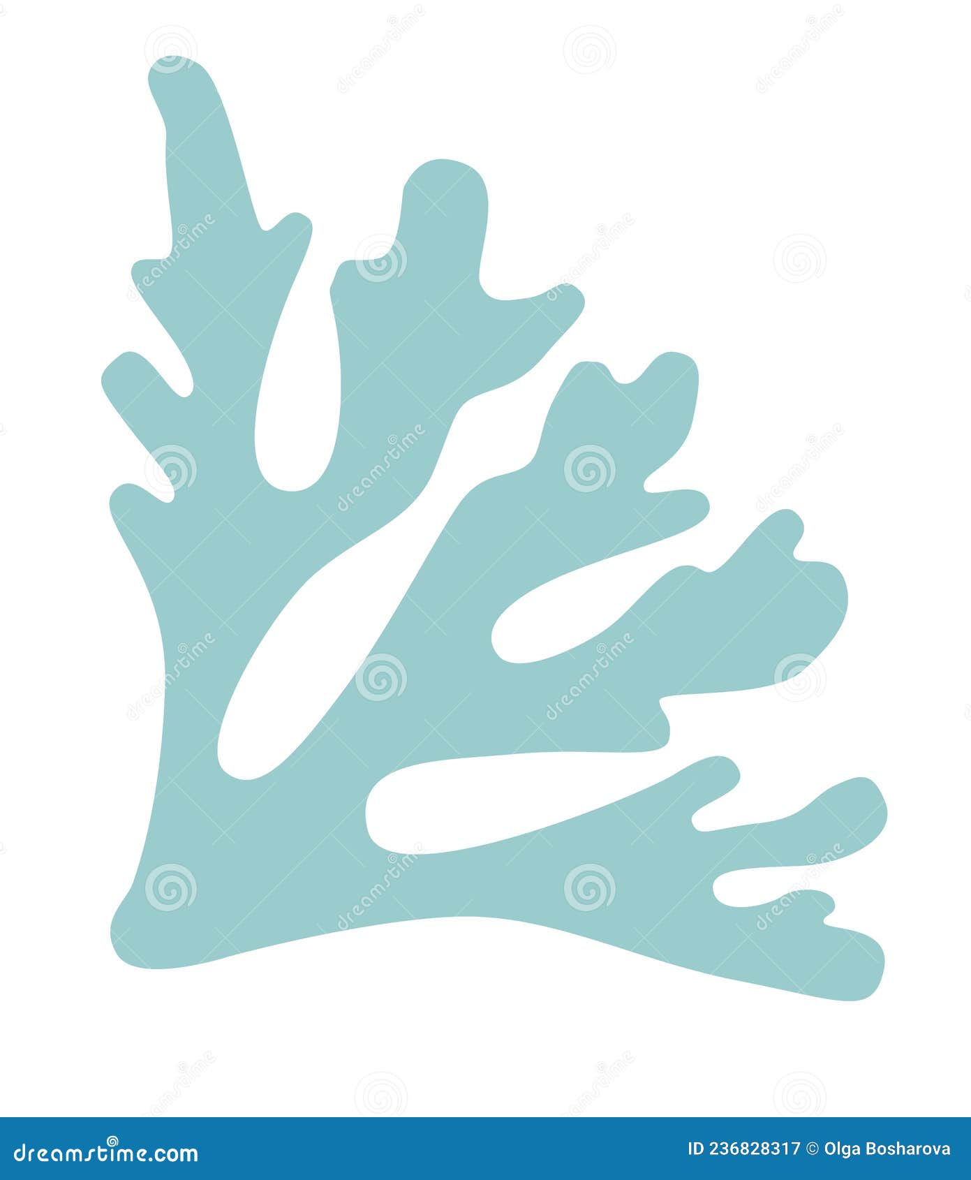 Algae And Seagrass Biological Structure And Carbon Exchange Outline ...