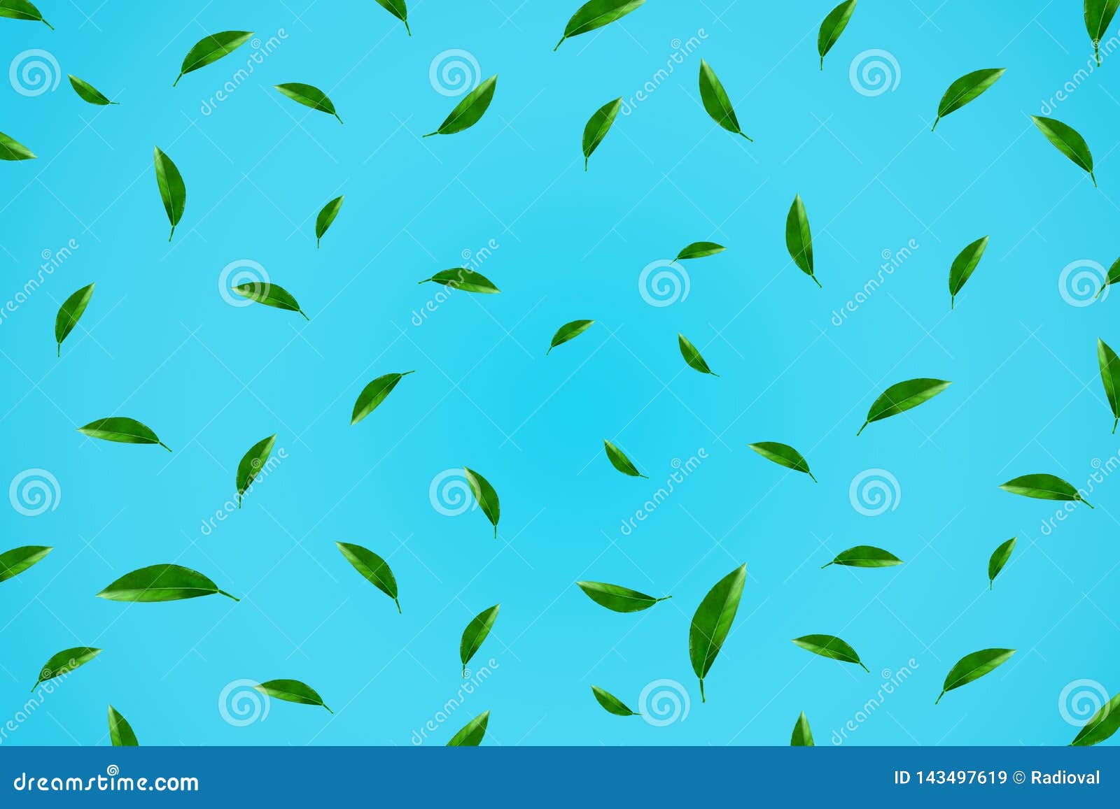 Beautiful Blue Background with Lemon Leaves. Backgrounds Textures Stock ...