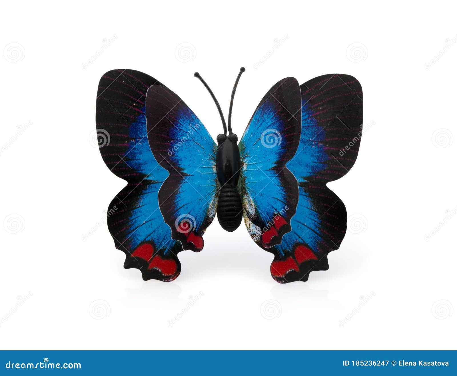 Beautiful Blue Butterfly on White Background with Shadow Stock Image ...