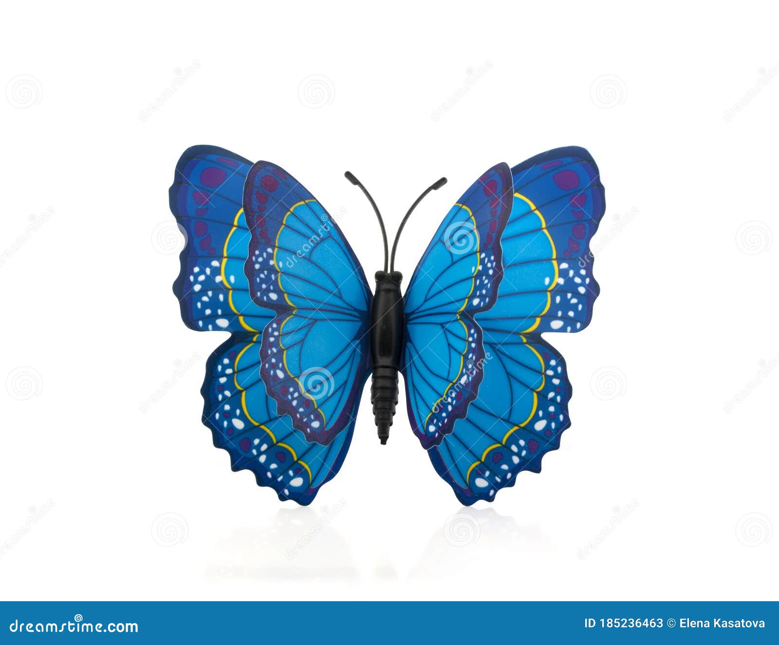 Beautiful Blue Butterfly on White Background with Shadow Stock ...