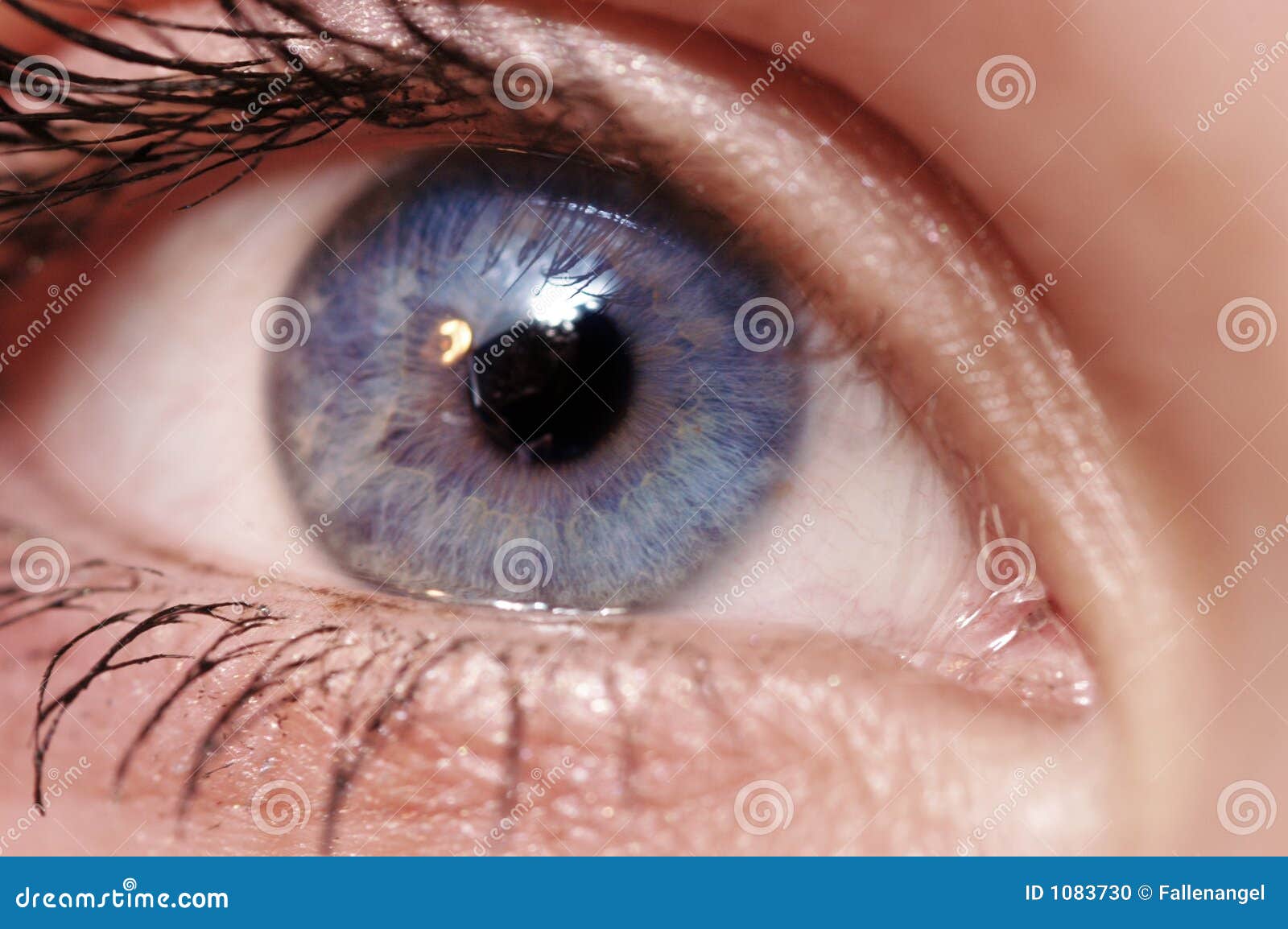 Beautiful Blue eye stock photo. Image of beauty, focus - 1083730
