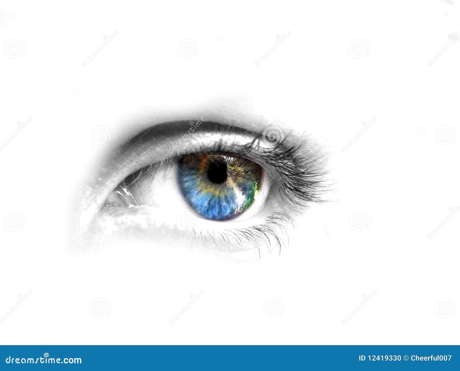 Beautiful blue eye stock photo. Image of shiny, concept - 12419330
