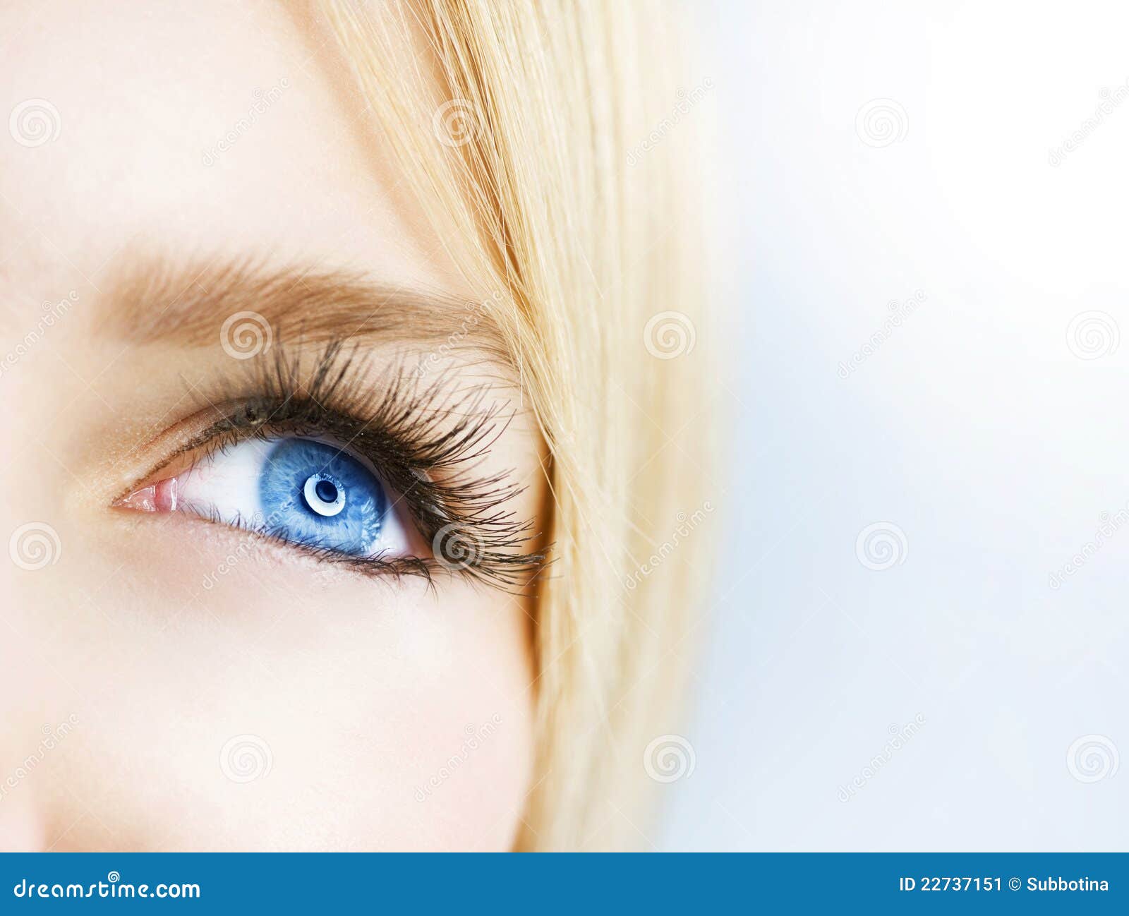 Beautiful Blue Eye stock image. Image of human, care - 22737151