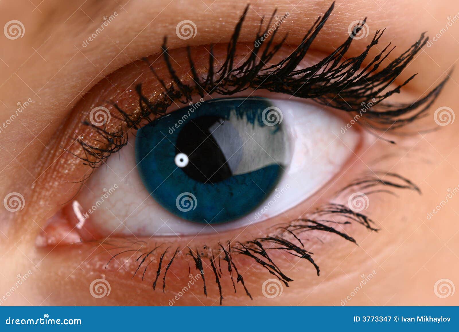 Beautiful blue eye stock image. Image of face, beautiful - 3773347