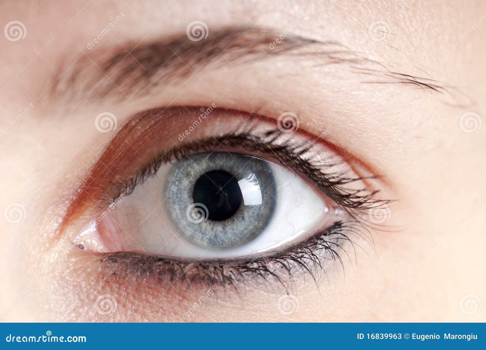 Beautiful blue eye girl stock image. Image of fashion - 16839963