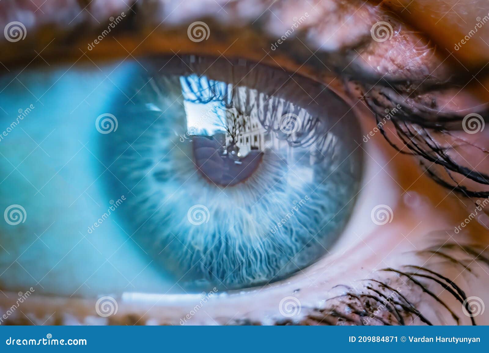 Beautiful Blue Eyes Photo Shoot Stock Image - Image of cheek, colors ...