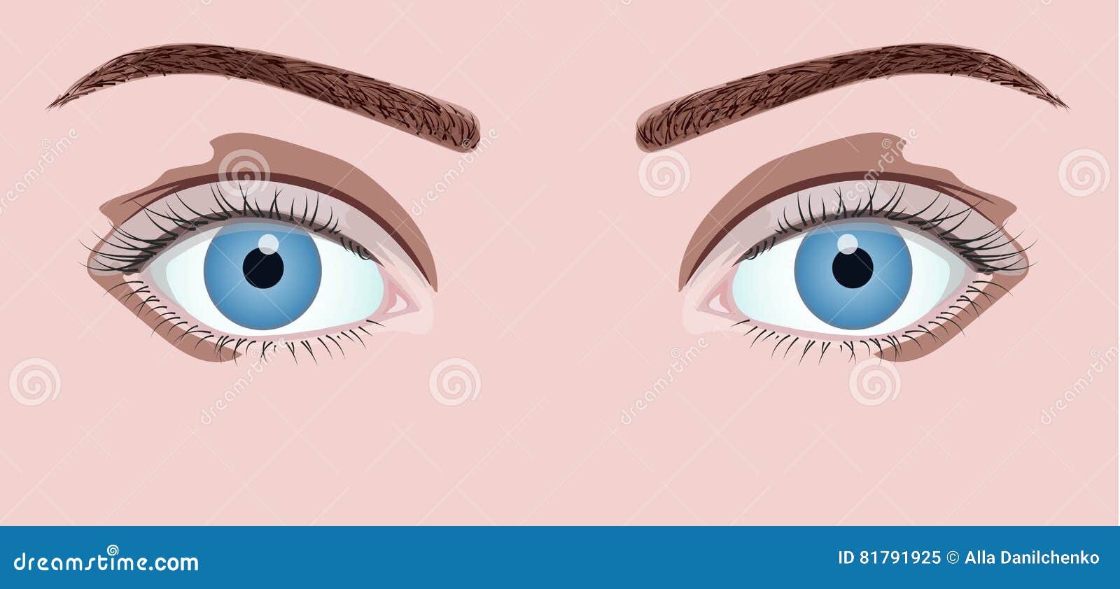 Beautiful blue eyes stock vector. Illustration of look - 81791925