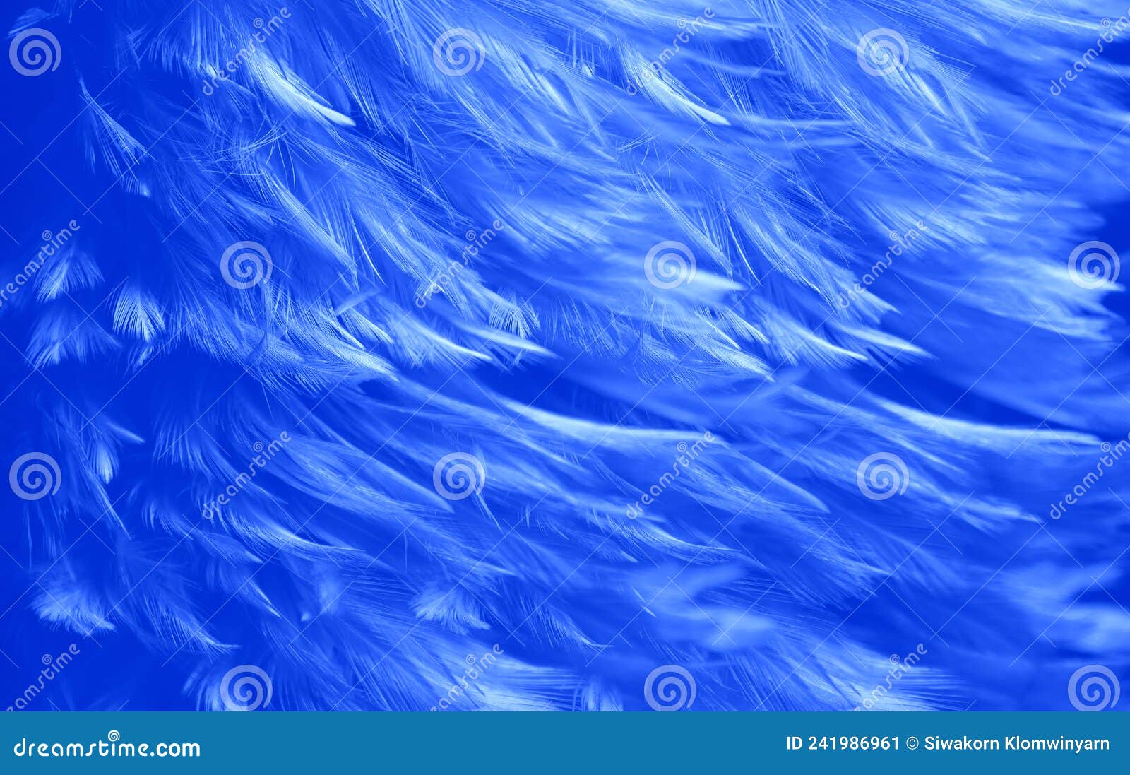 Beautiful Blue Feathers Texture Pattern Vintage Background. Swan ...