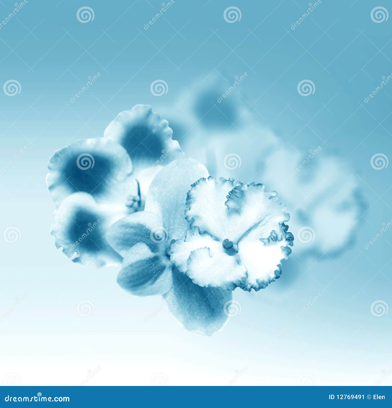 Beautiful Blue Flowers in Mist Stock Illustration - Illustration of ...