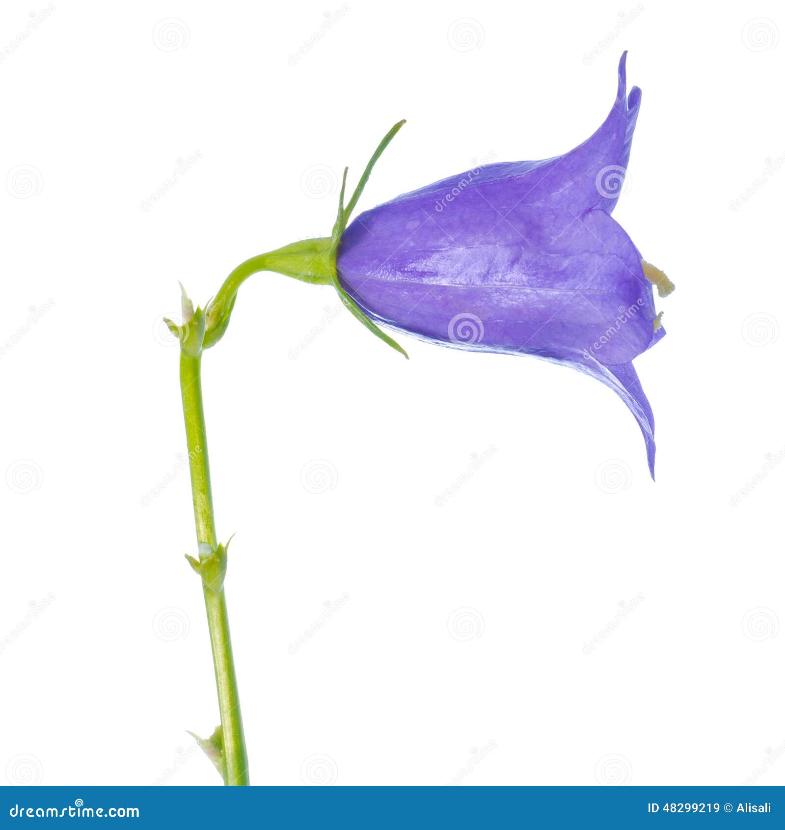 Beautiful Blue Hand Bell is Isolated on White Background, Closeup Stock ...
