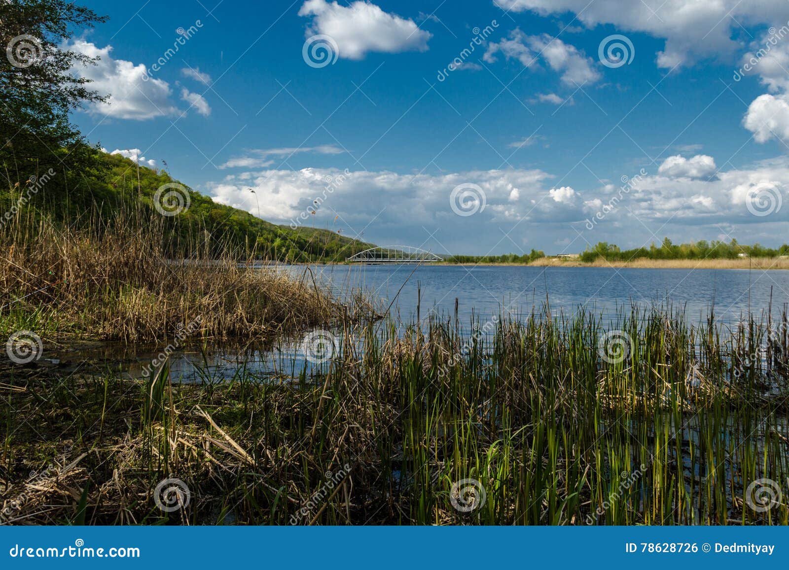 A beautiful Blue Lake stock photo. Image of cattail, reserviour - 78628726
