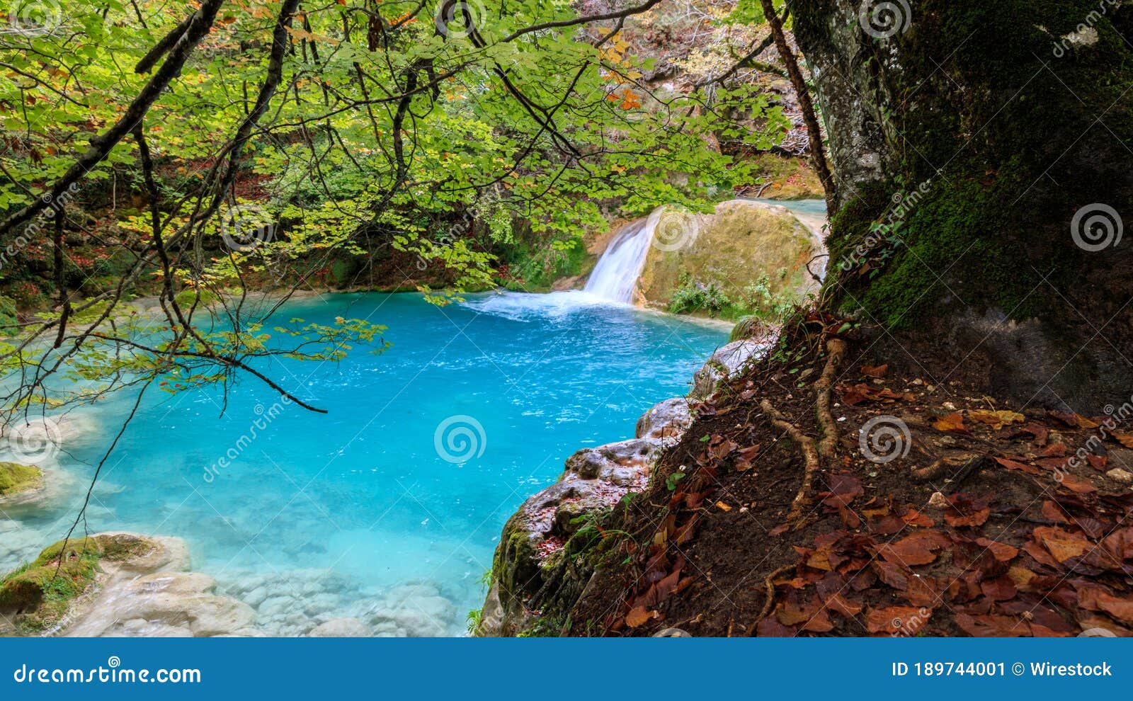 Beautiful Blue Natural Pool in the Woods Stock Image - Image of pool ...