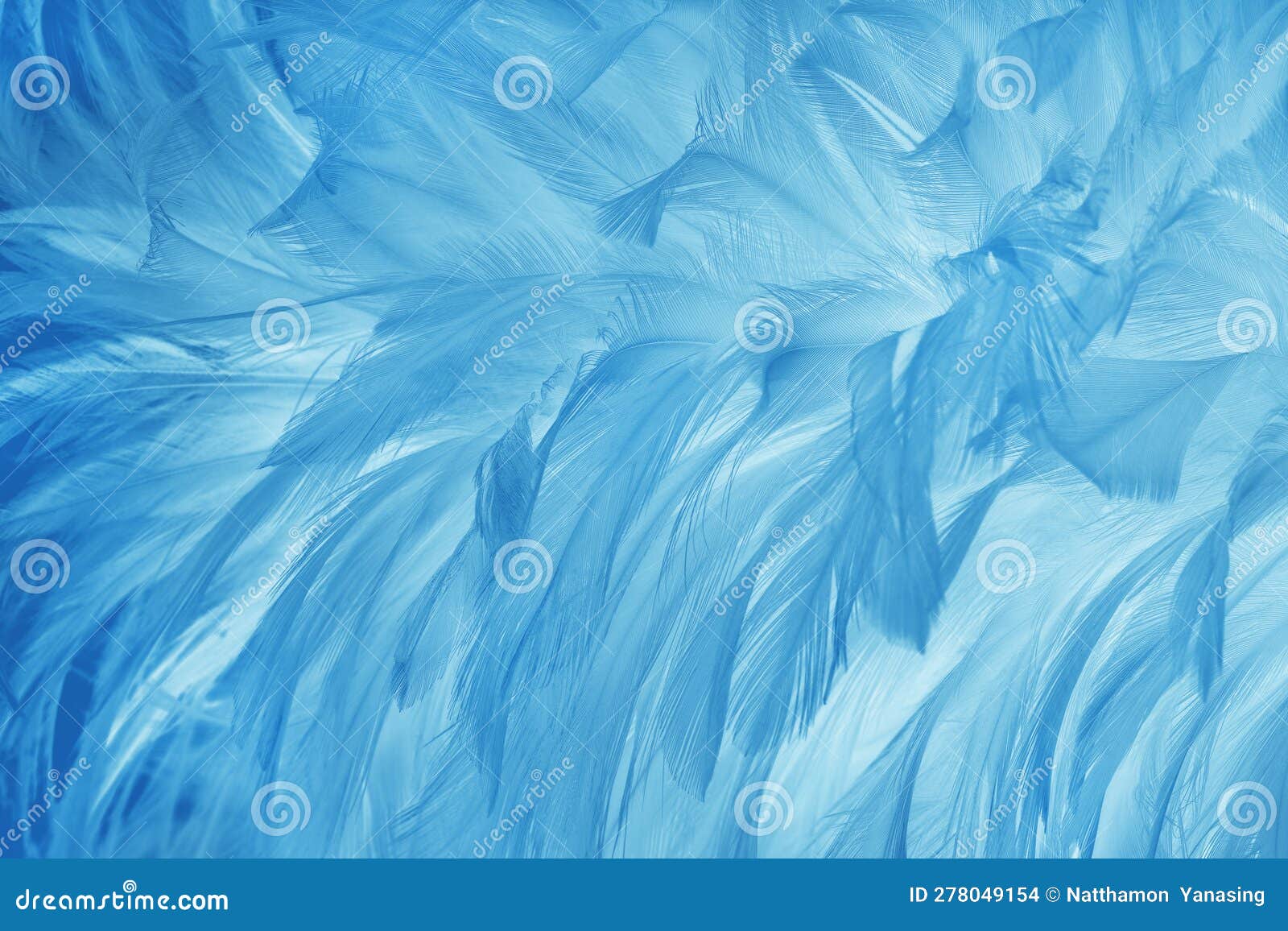 Beautiful Blue Pastel Bird Feathers Pattern Texture Background Stock ...