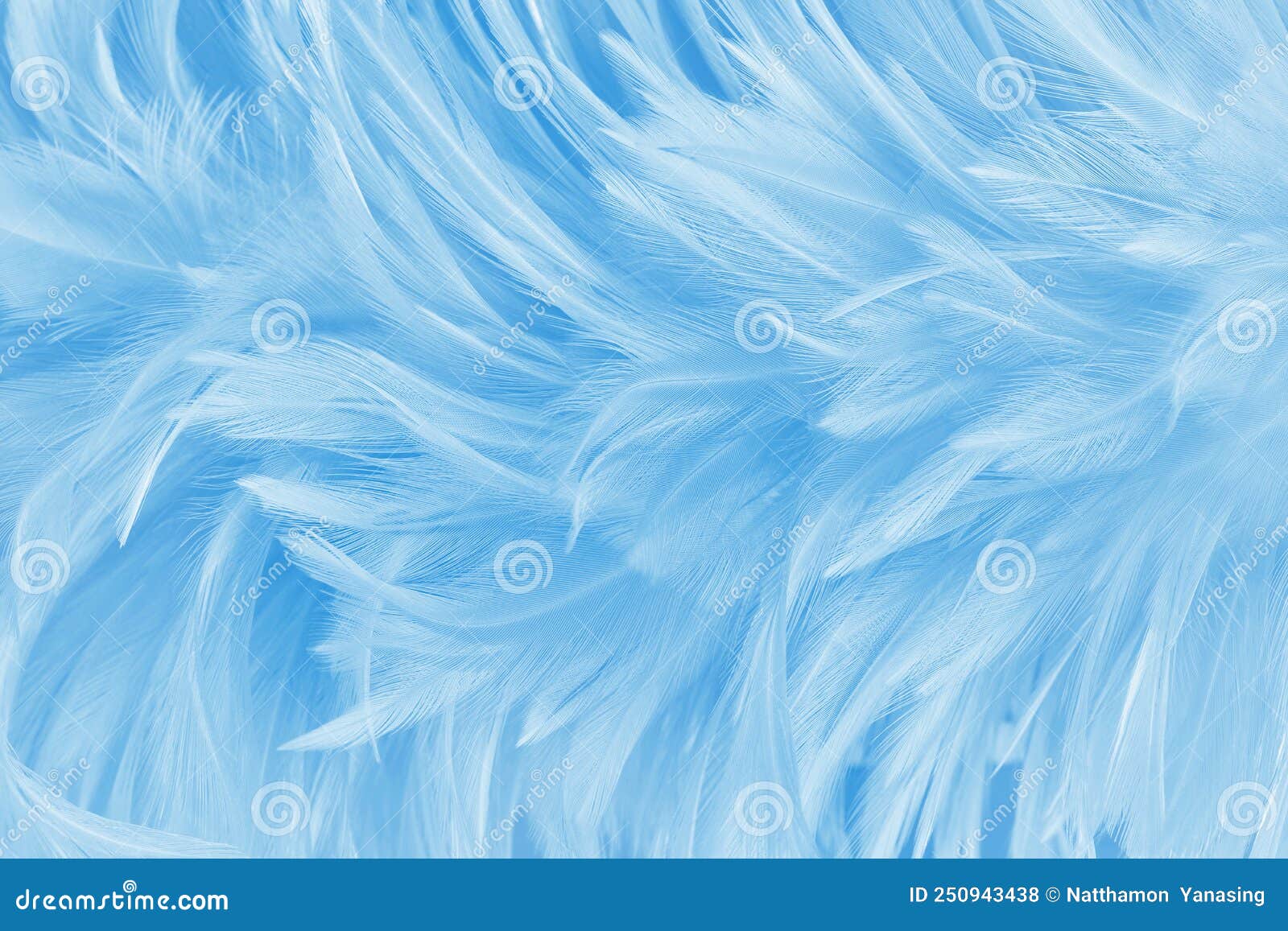 Beautiful Blue Pastel Bird Feathers Pattern Texture Background Stock ...