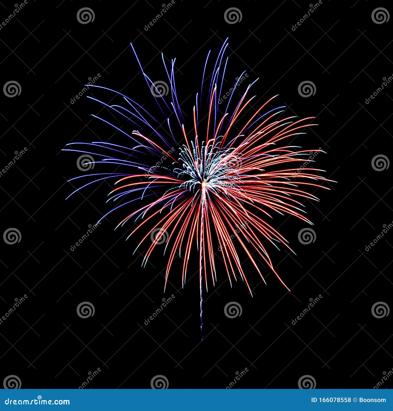 Beautiful Blue and Red Fireworks Exploding in the Night Sky, Isolated ...
