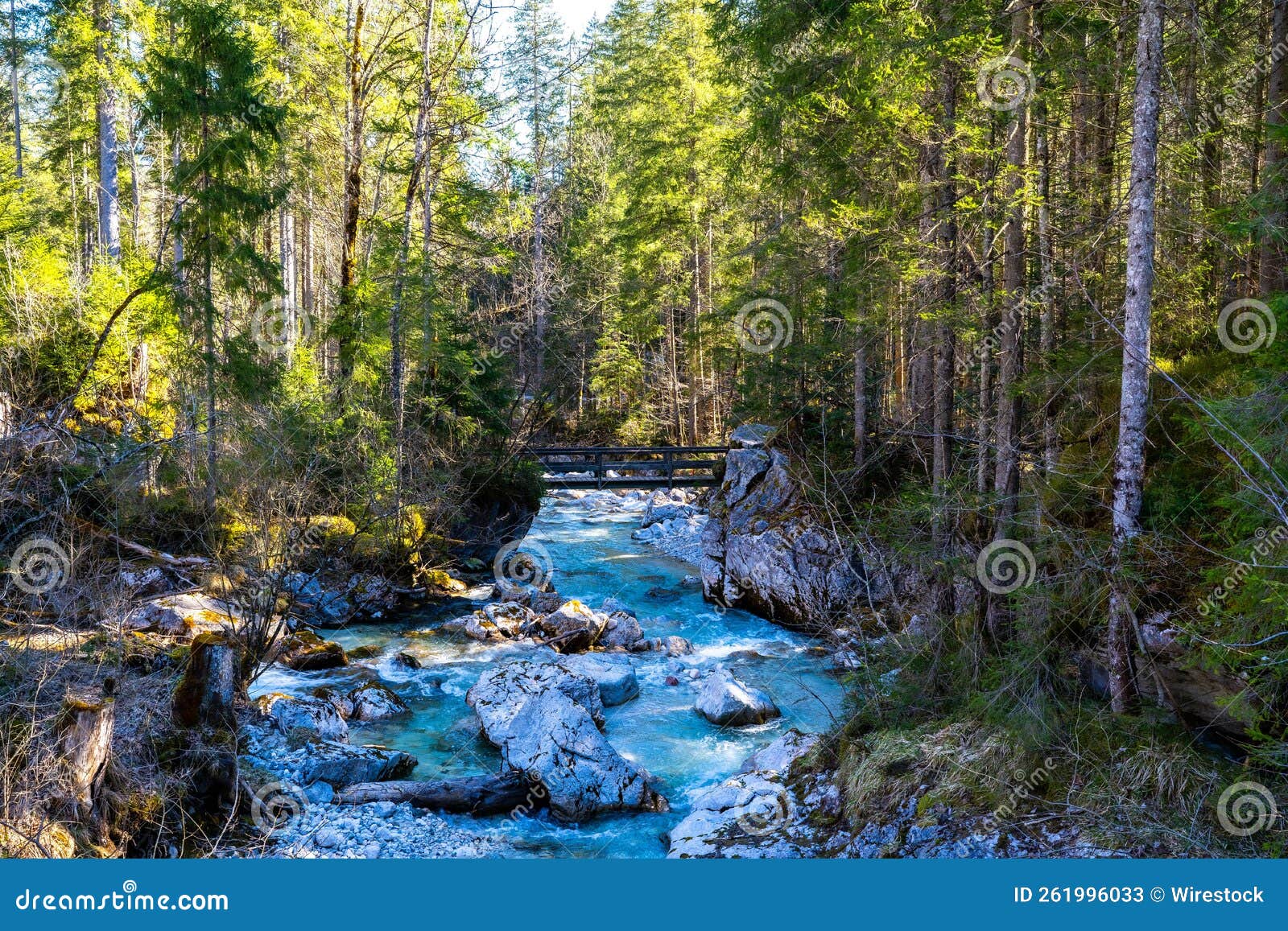 Beautiful Blue River in the Forest Stock Image - Image of leaves, woods ...