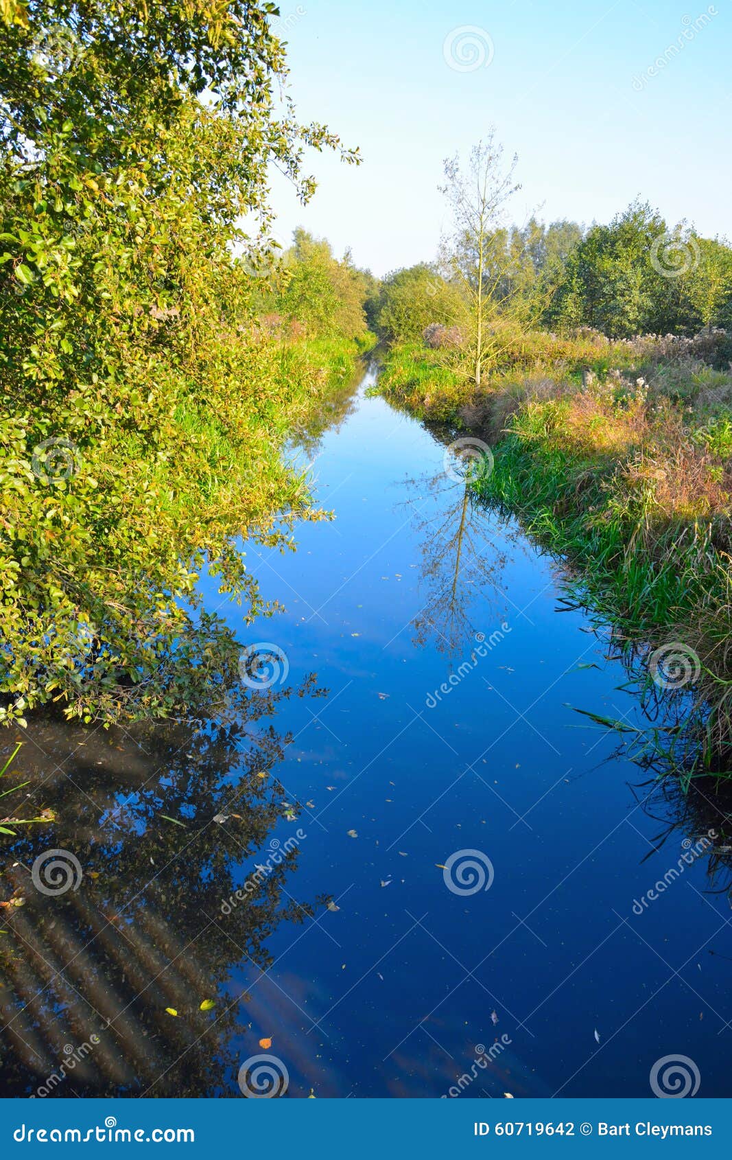 Beautiful blue river stock photo. Image of travel, vegetation - 60719642