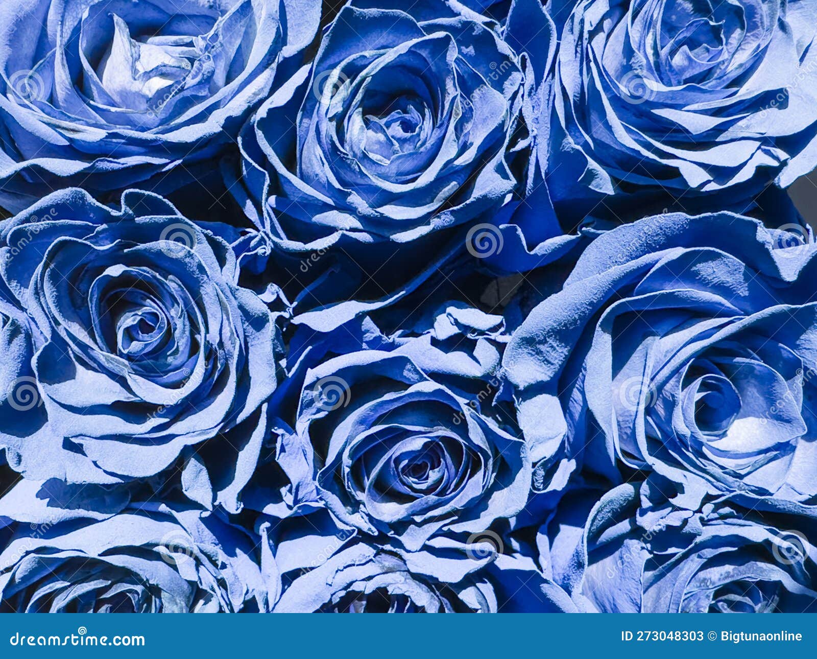 Beautiful Blue Roses Texture Background.Rose Pattern Stock Image ...