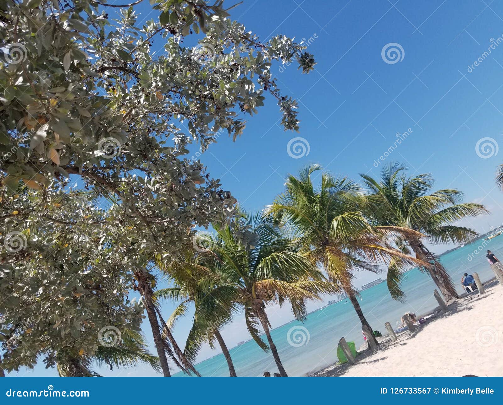 Miami beach day stock image. Image of miami, skies, beautiful - 126733567