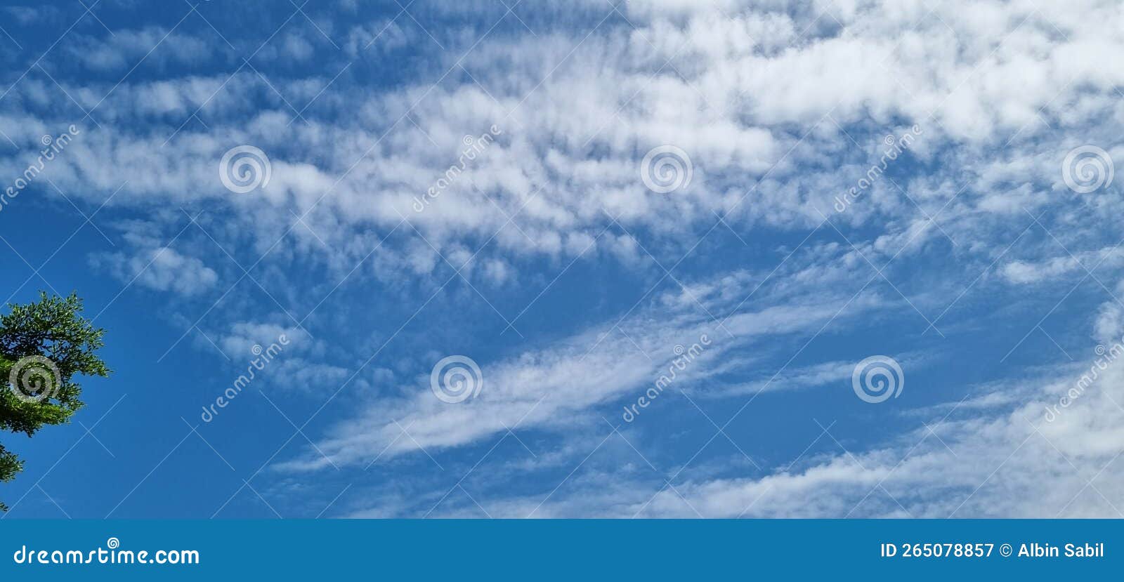Beautiful Blue Sky with Clouds Texture and Tree Stock Image - Image of ...