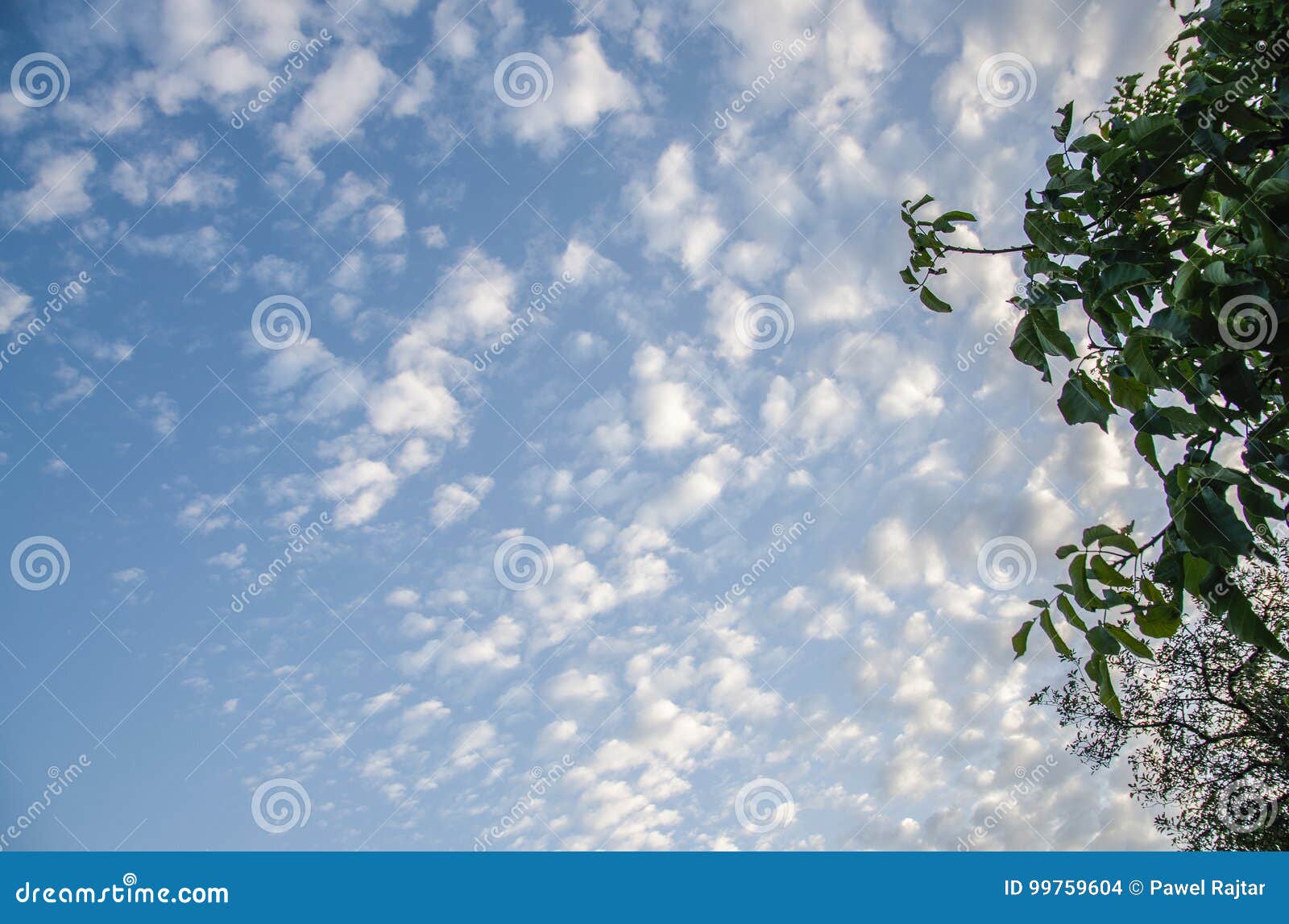 Beautiful Blue Sky Over Trees, HDR Photo in Summer. Stock Photo - Image ...