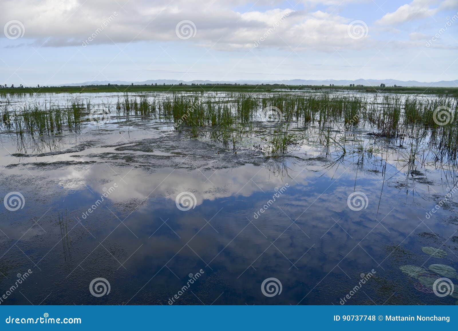 Beautiful Blue Sky Reflect on Lagoon Stock Photo - Image of nature ...