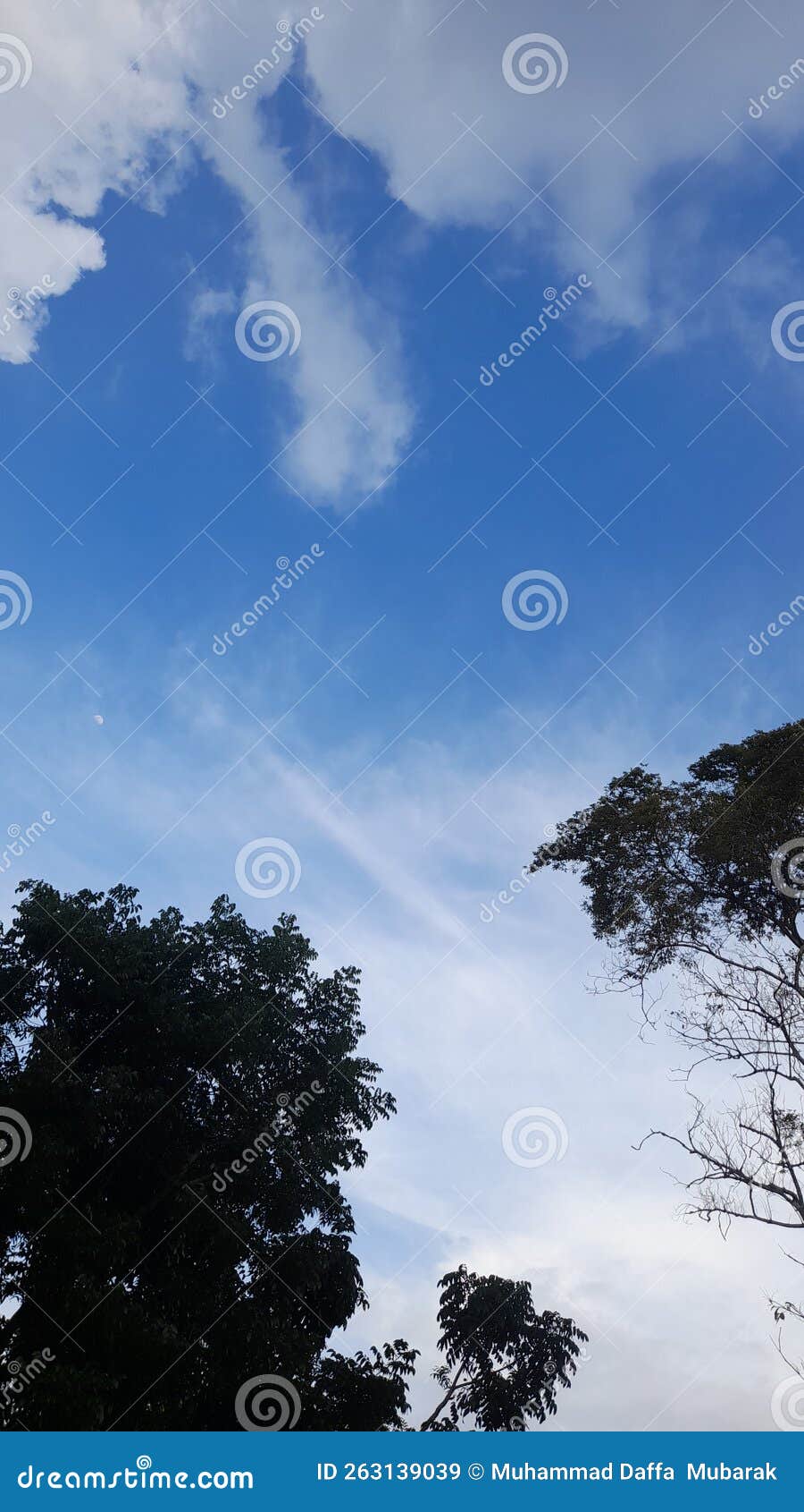 Beautiful Blue Sky and Trees in Samarinda City Stock Image - Image of ...