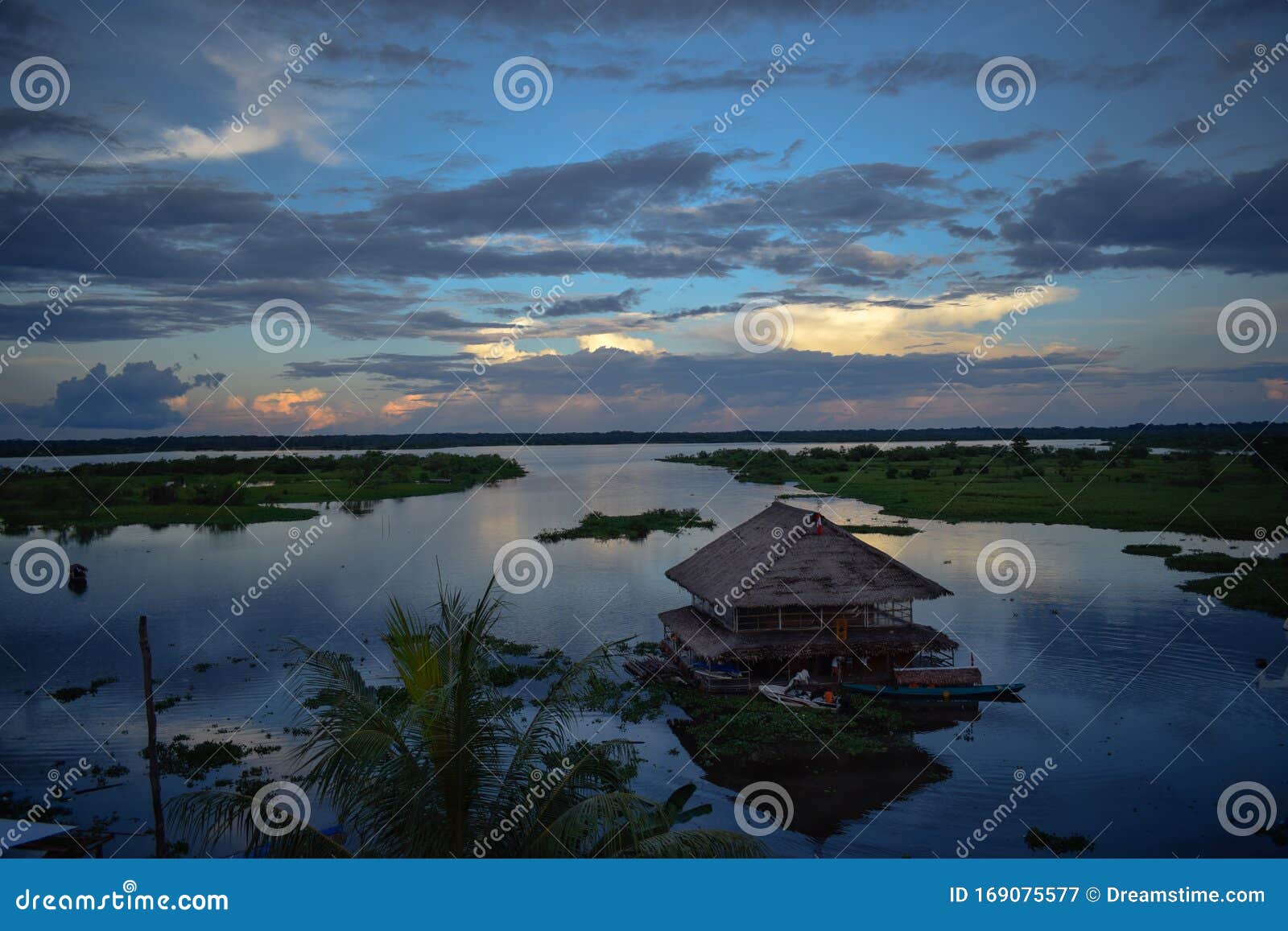 Beautiful Blue Sunset in the Peruvian Jungle Stock Image - Image of ...