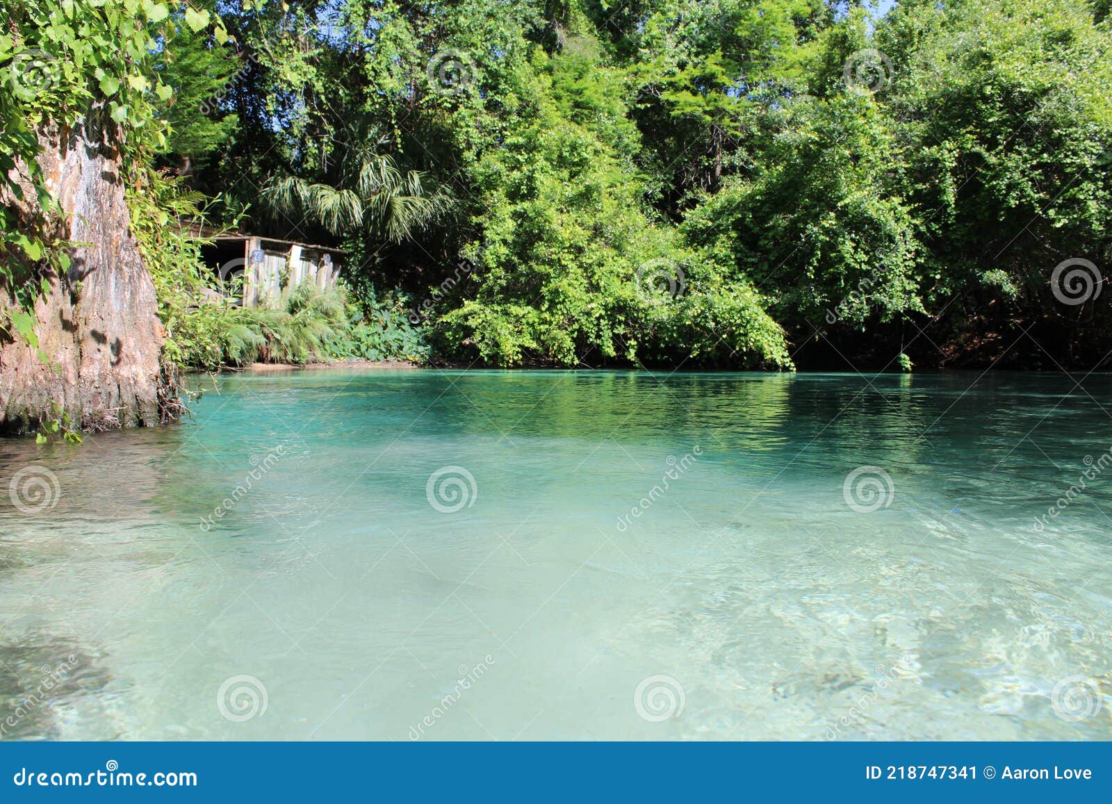 Beautiful blue water stock image. Image of pond, waterway - 218747341