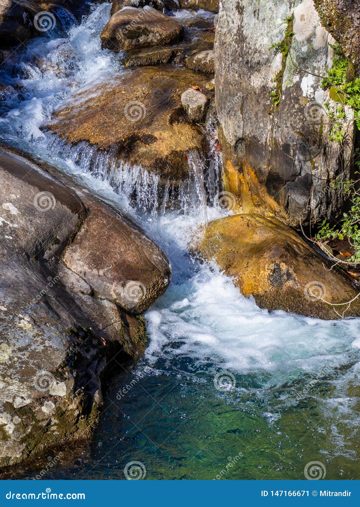 Beautiful Blue Water in the Cool Mountain Stream Creek Stock Image ...