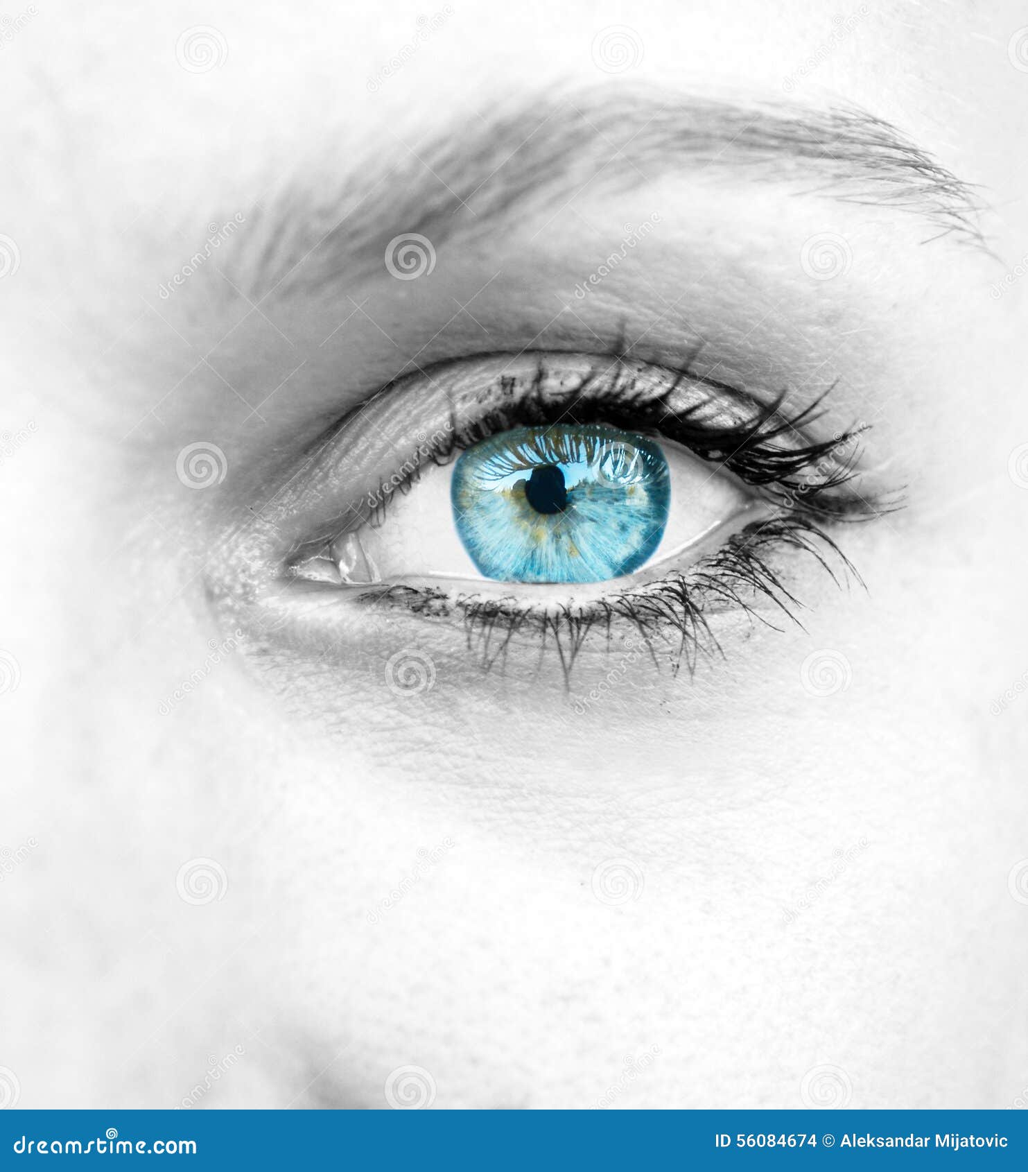 Beautiful blue woman eye stock photo. Image of beautiful - 56084674