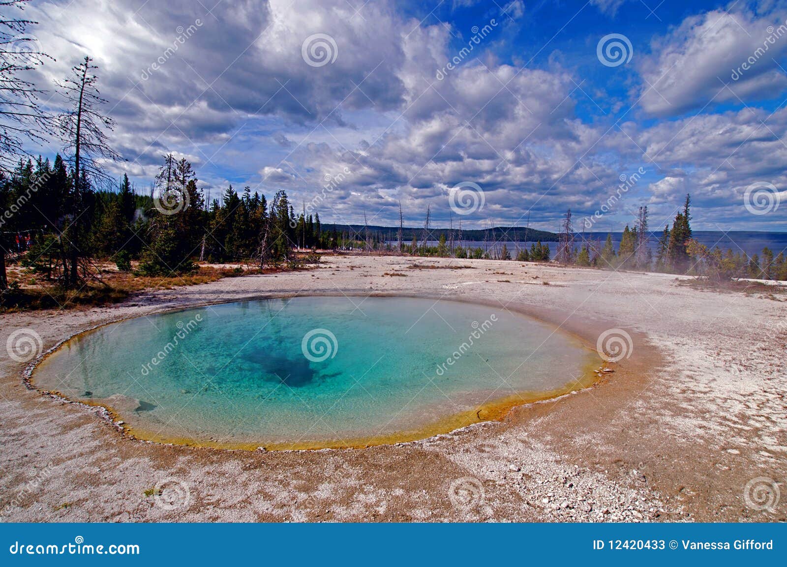 Beautiful Blue Yellowstone Hot Spring Stock Image - Image of bacteria ...