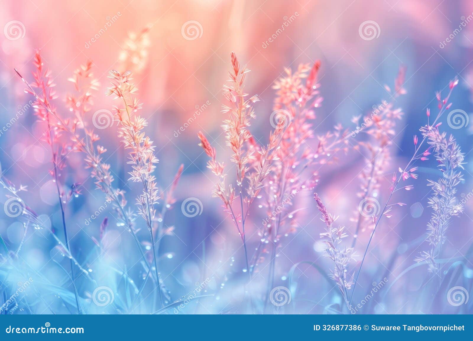 Beautiful Blurred Background of Natural Spring Nature in Pastel Colors ...
