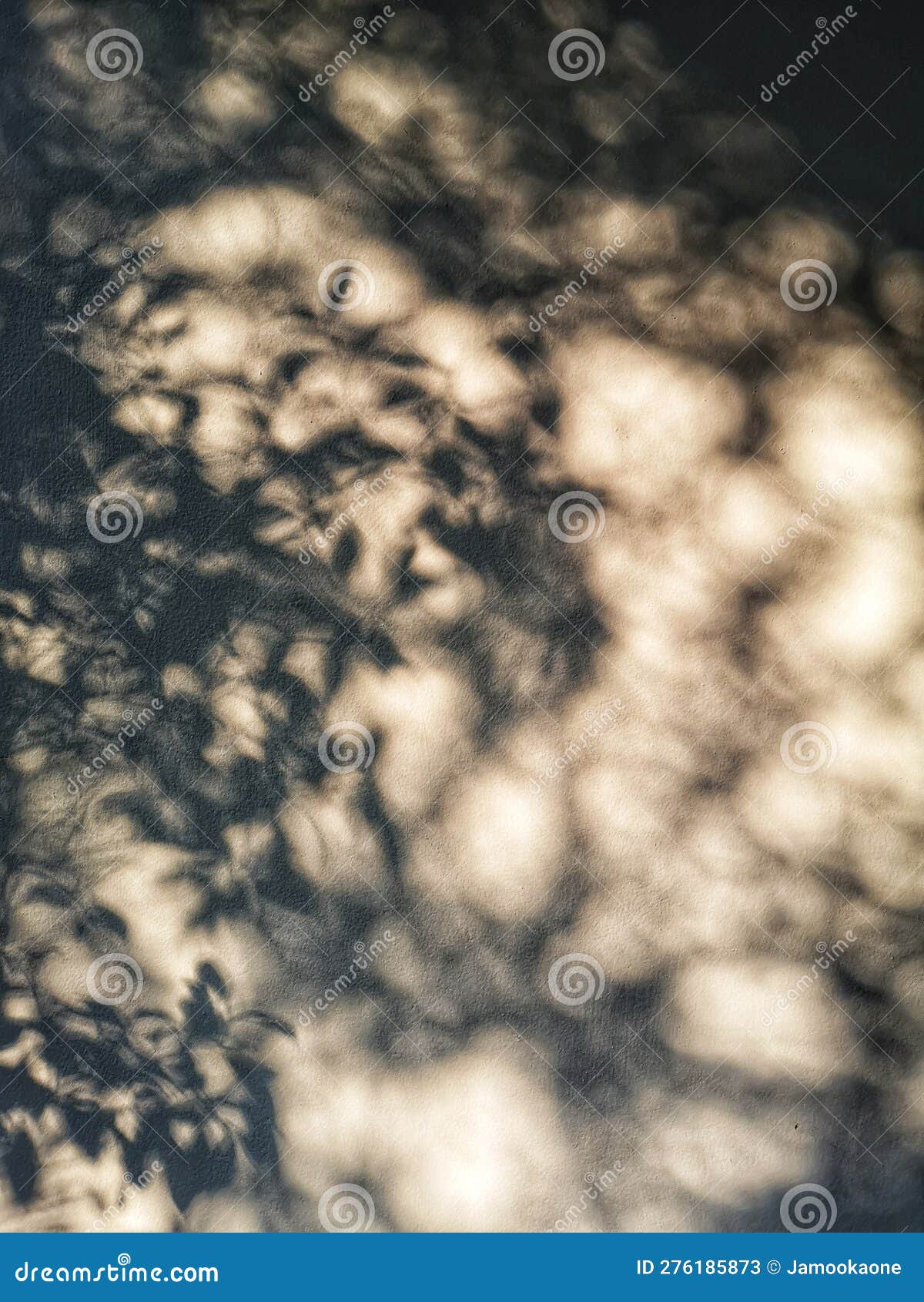 Blurred Shadow Of A Horror Woman. The Hands On The Glass. Dangerous ...