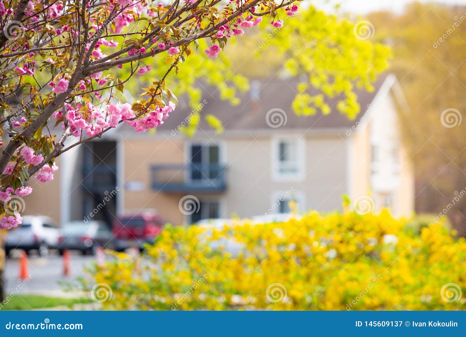 Beautiful Blurred Village Homes in Spring Time Stock Image - Image of ...