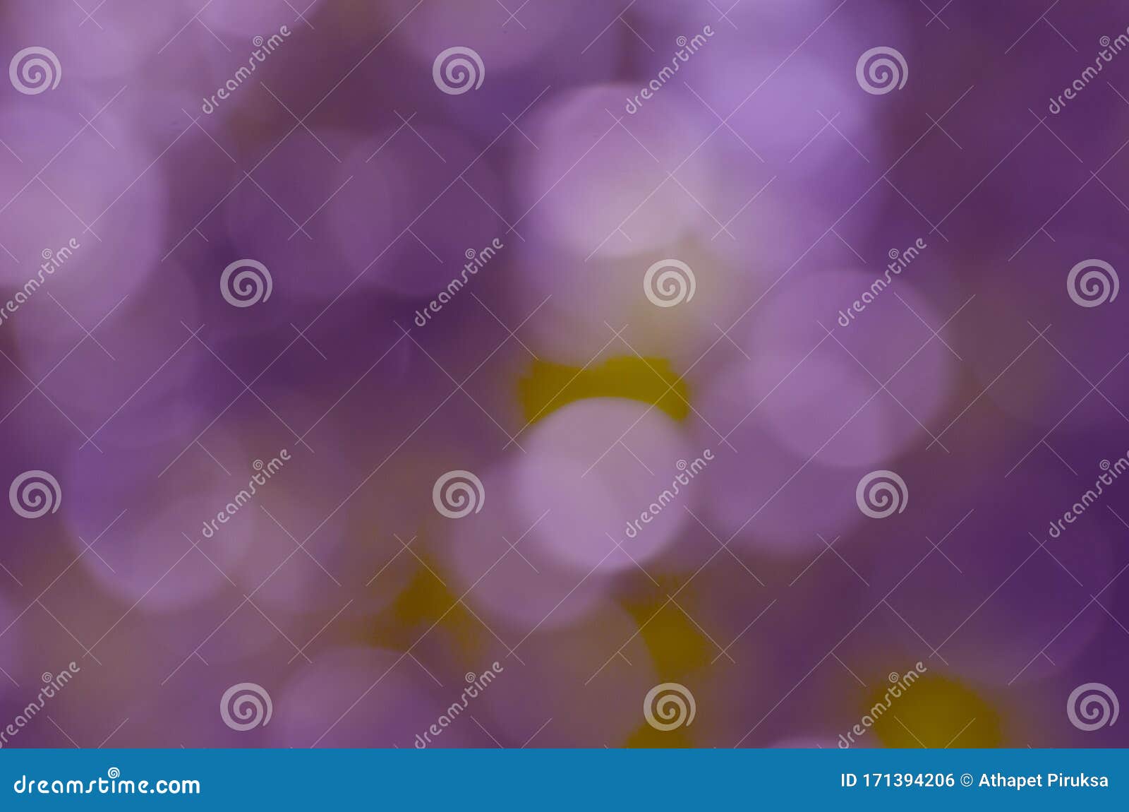 Beautiful Blurry Violet Circle Light Pattern on Leaves Stock Photo ...