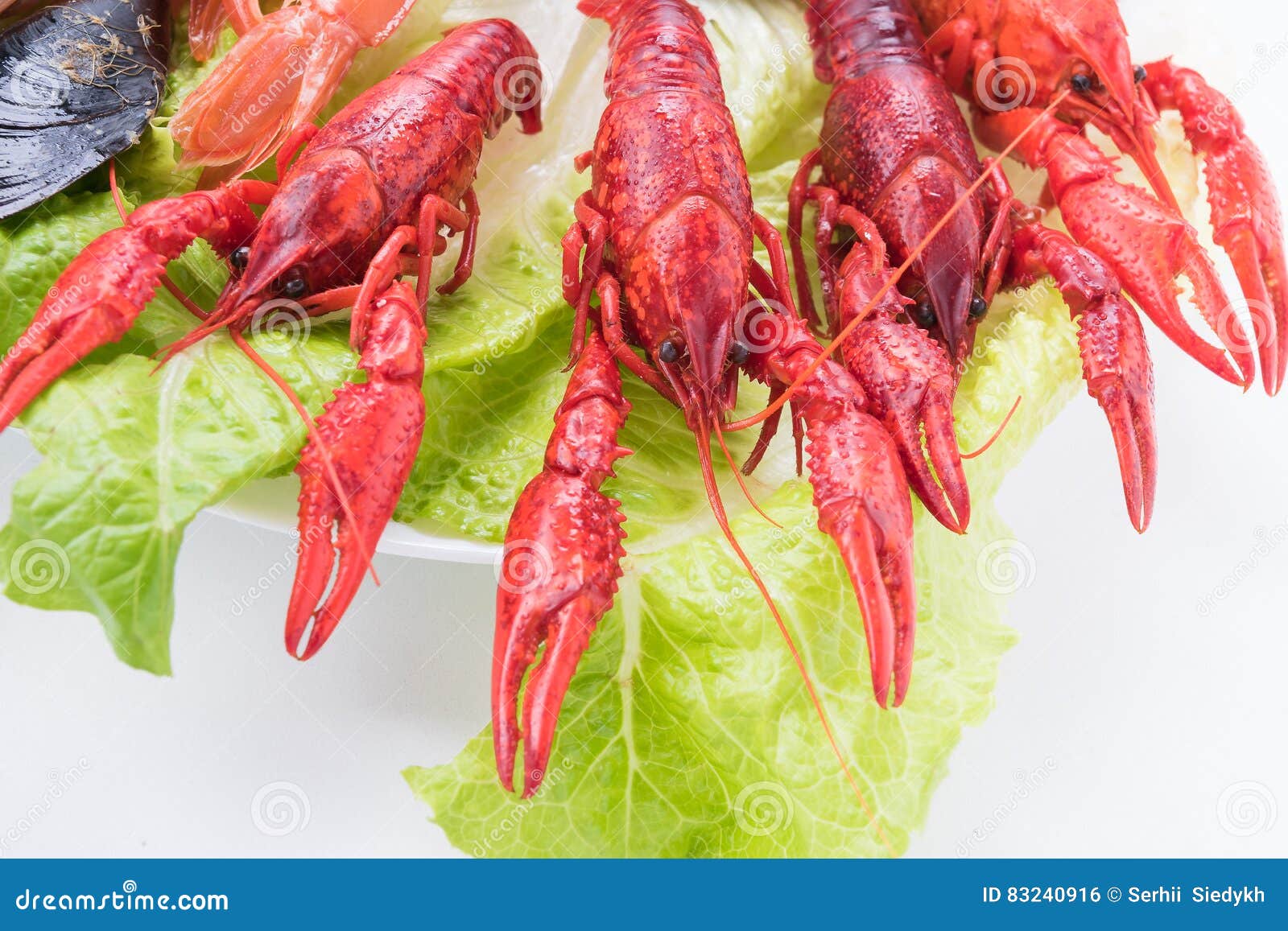 Beautiful boiled crayfish stock photo. Image of bright - 83240916