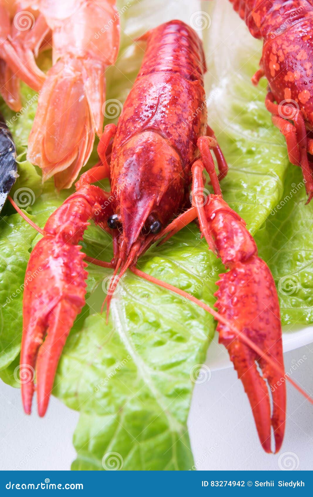 Beautiful boiled crayfish stock photo. Image of tasty - 83274942