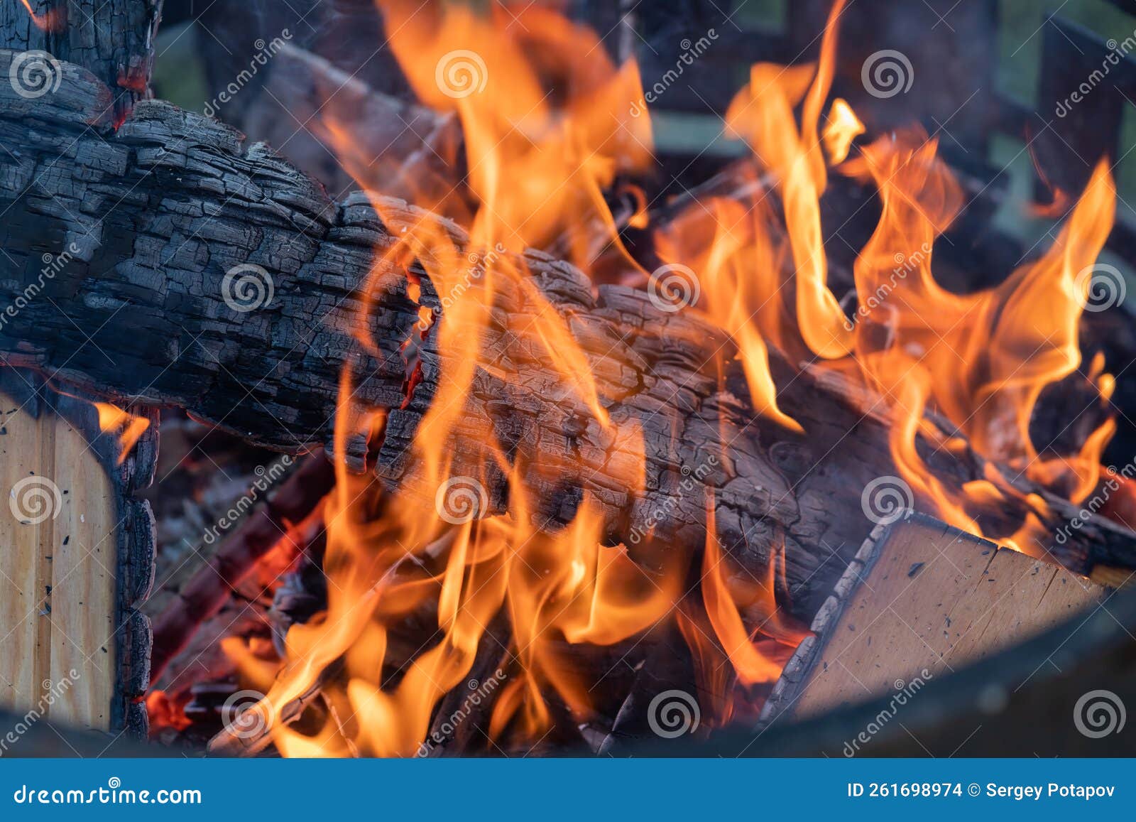 A Beautiful Bonfire is Burning in the Fire Stock Photo - Image of glow ...