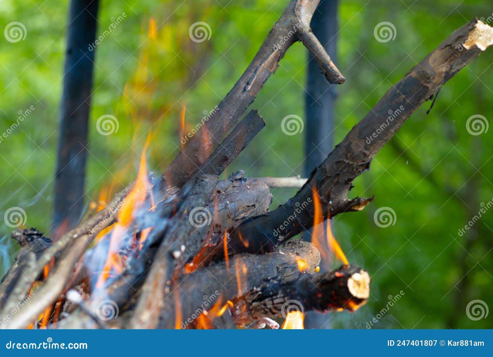 Beautiful Bonfire in the Forest Stock Image - Image of colorful, burn ...