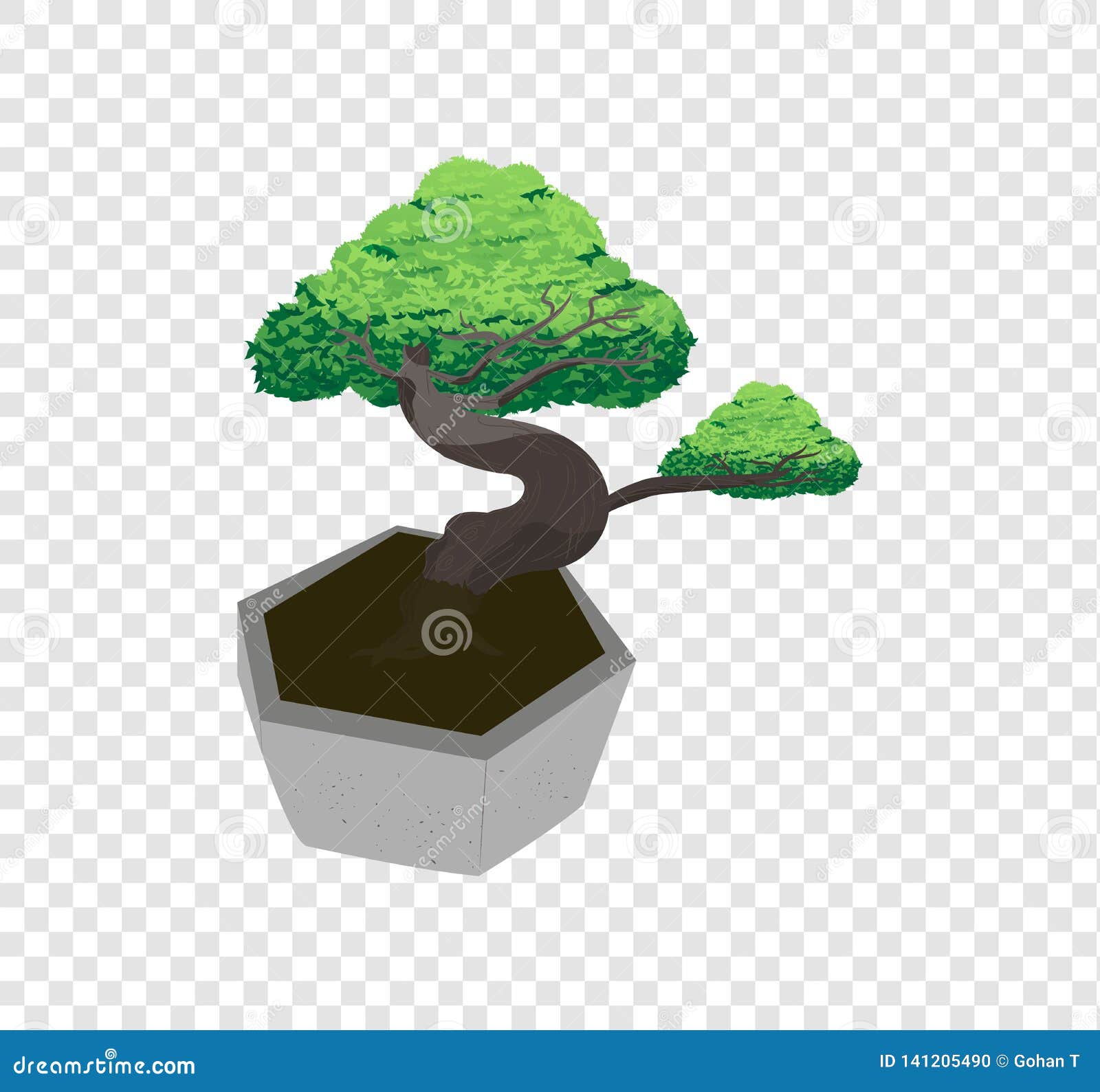 Beautiful Bonsai Tree Vector Spreads the Leaves on Transparency ...