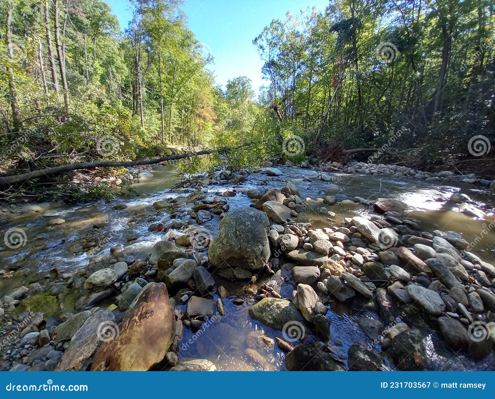 Beautiful Borders Rocks Stream Stock Image - Image of tree, autumn ...