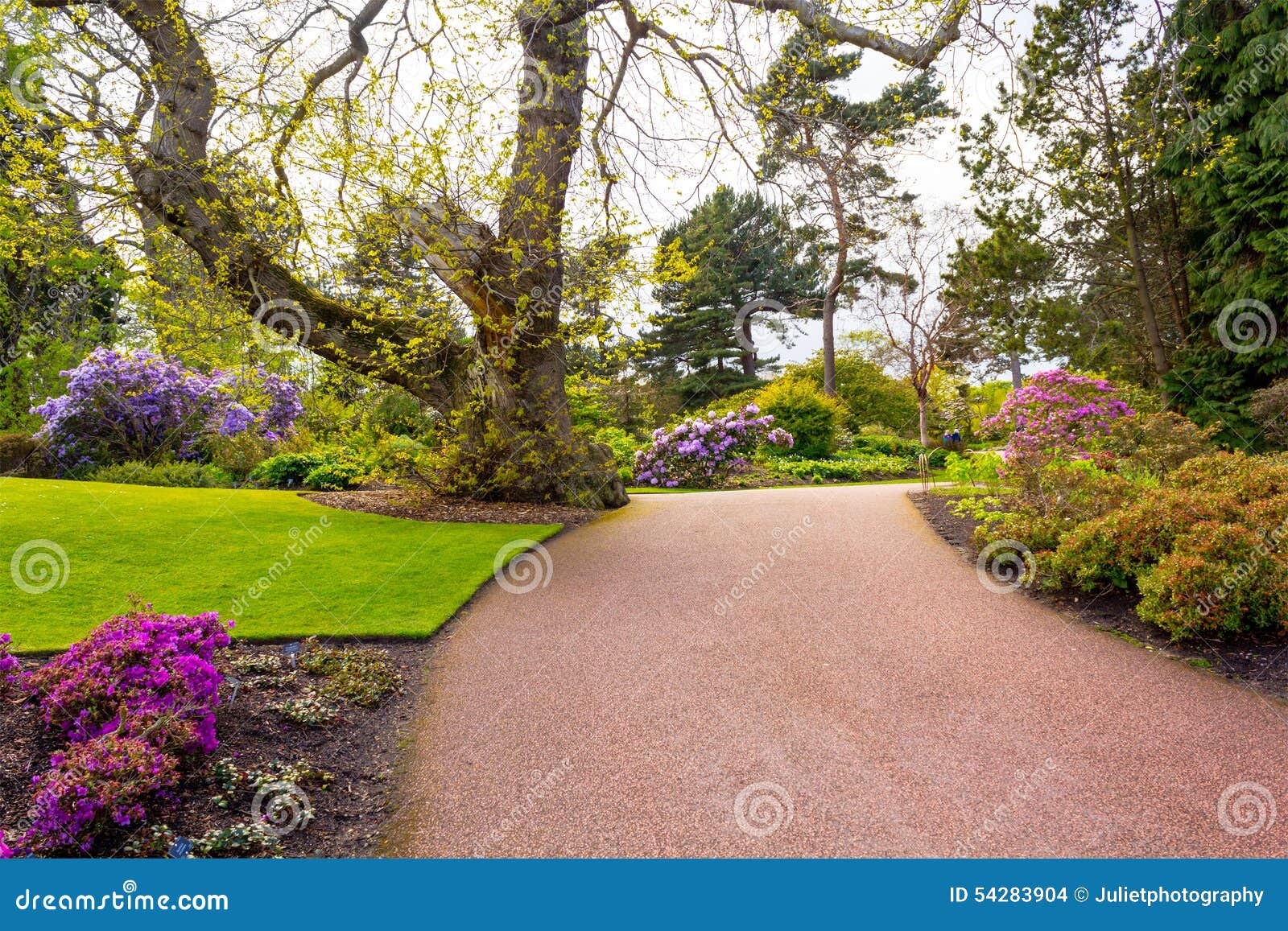 Beautiful, Botanic Garden in Spring. Stock Photo - Image of april ...