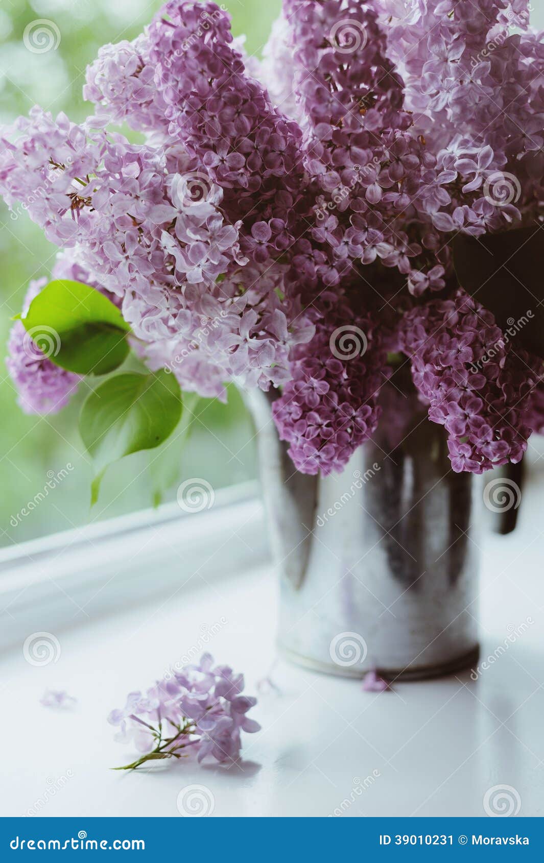 Beautiful Bouquet of Lilacs Stock Image - Image of garden, bontiqe ...