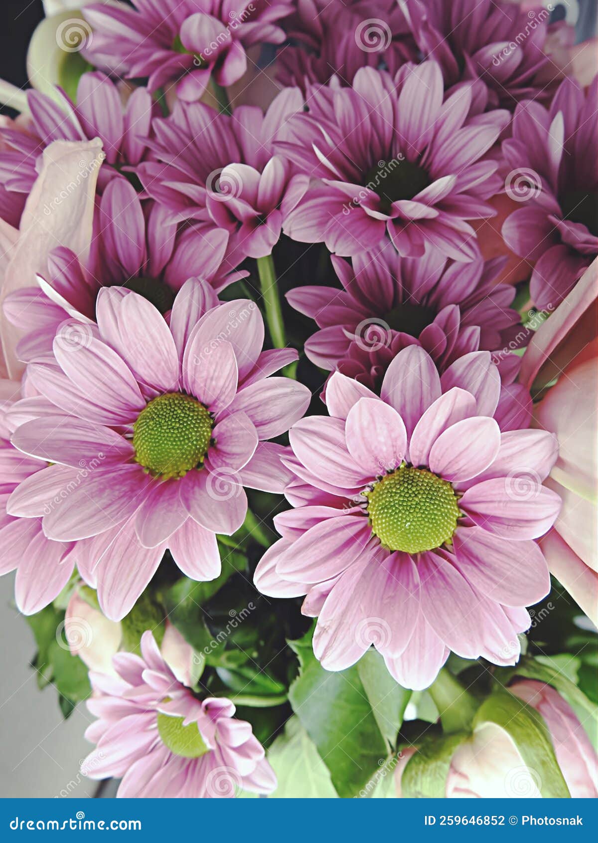 Beautiful Bouquet of Natural Flowers Stock Photo - Image of flower ...