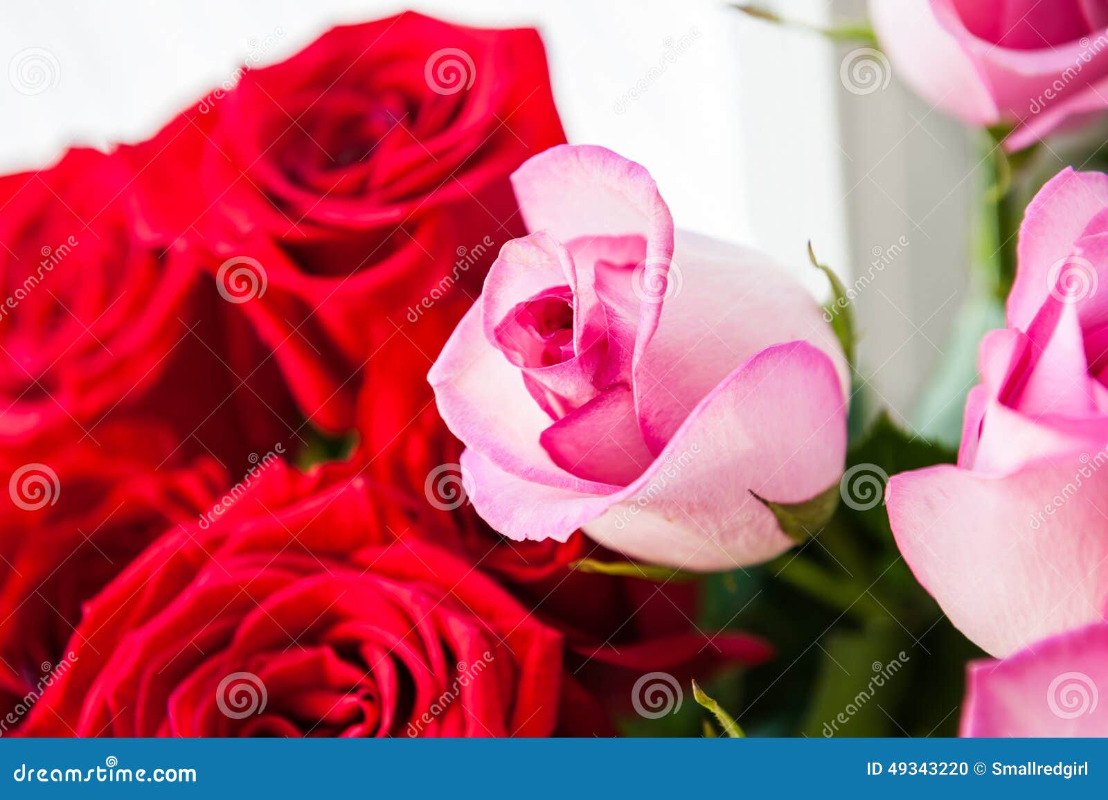 Beautiful Bouquet of Pink and Red Roses Stock Photo - Image of floral ...