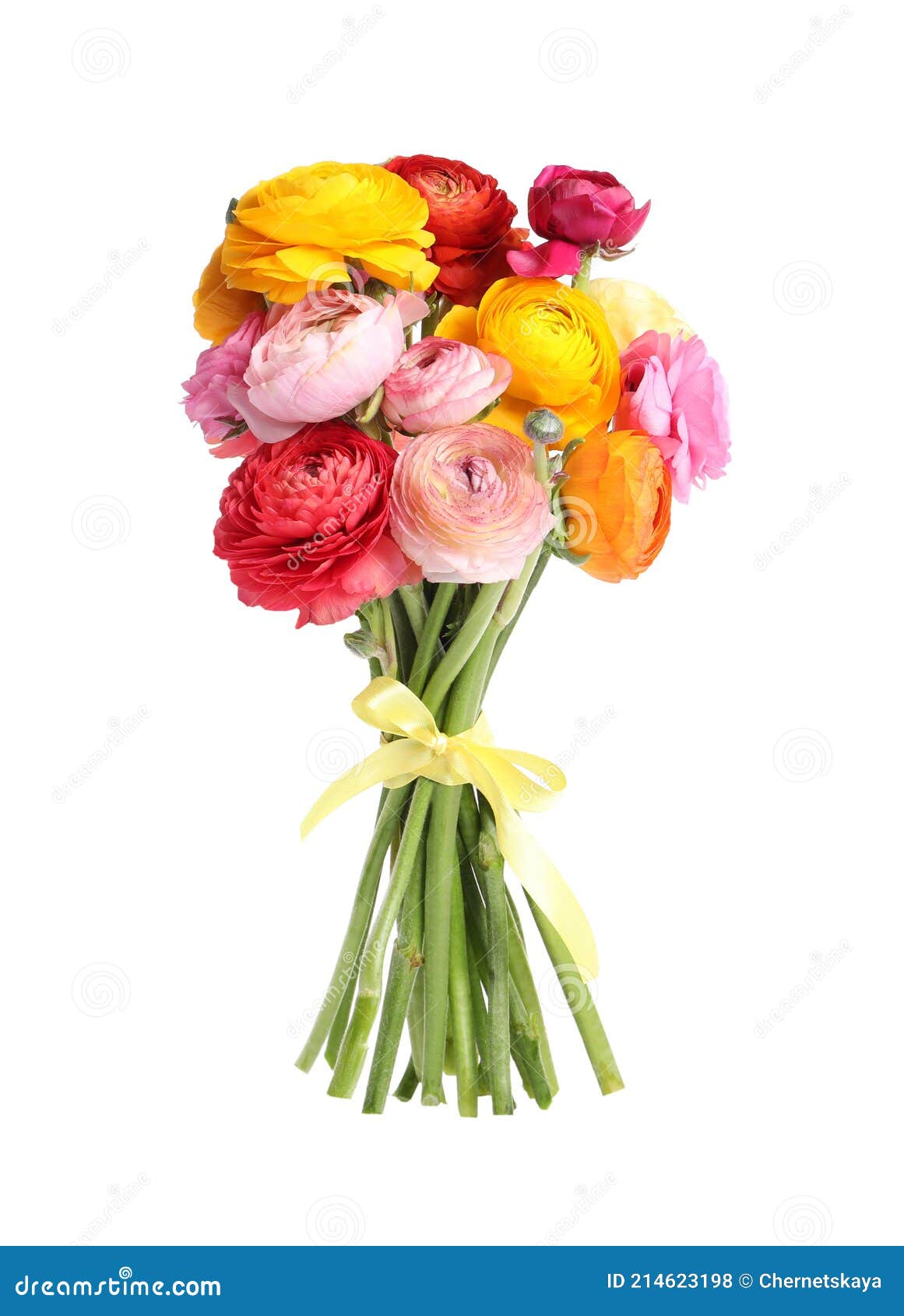 Beautiful Bouquet of Ranunculus Flowers Isolated on White Stock Photo ...