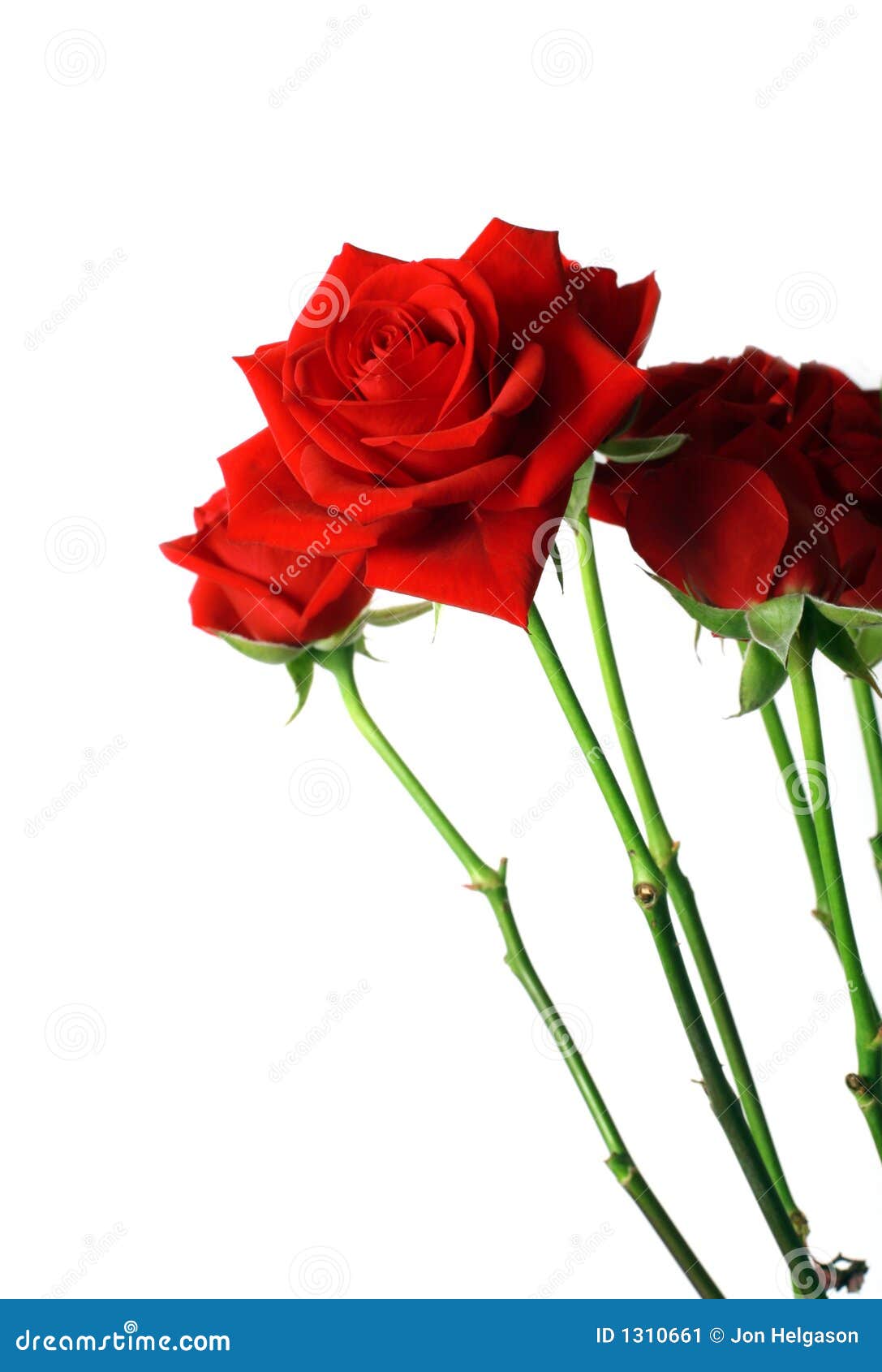 Beautiful Bouquet of Red Roses Stock Image - Image of beautiful ...