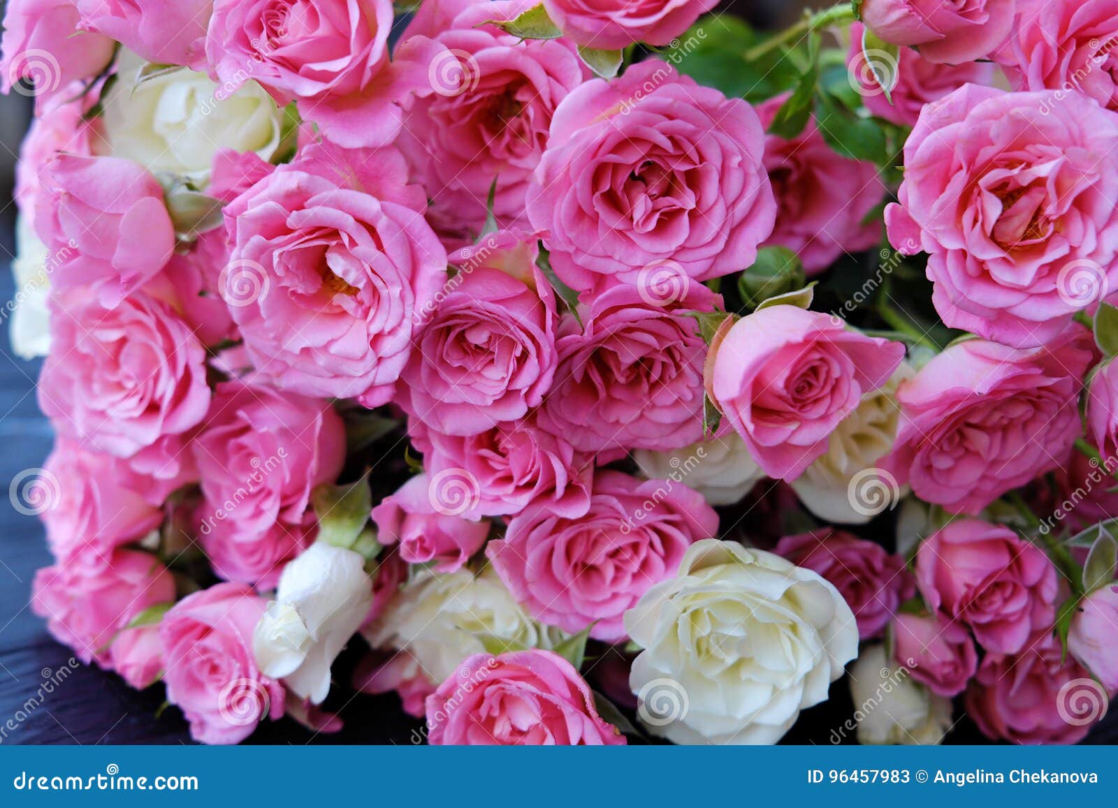 Beautiful Bouquet of White and Pink Roses Stock Image - Image of grass ...