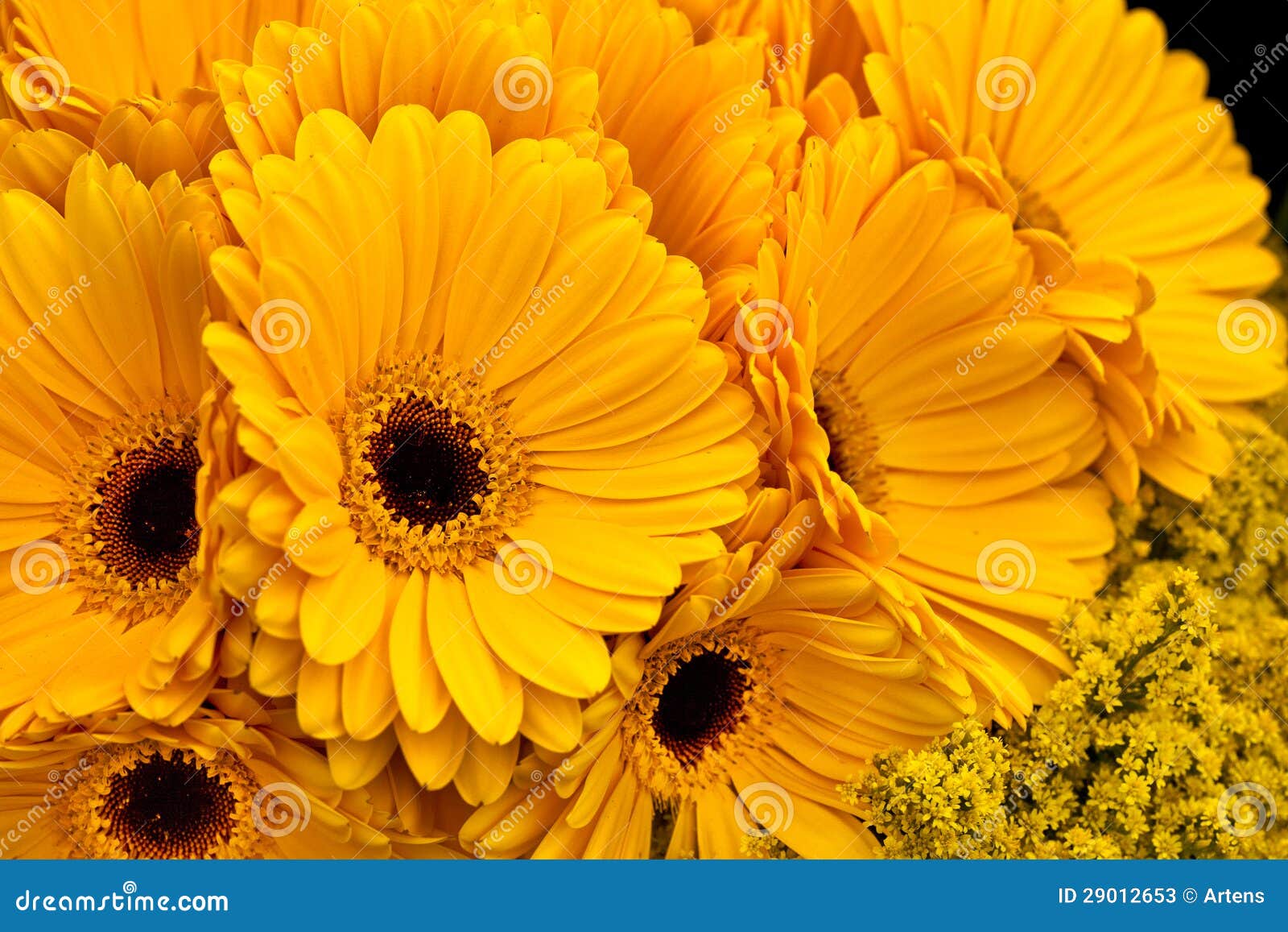 Beautiful Bouquet of Yellow Gerberas. Stock Image - Image of floral ...